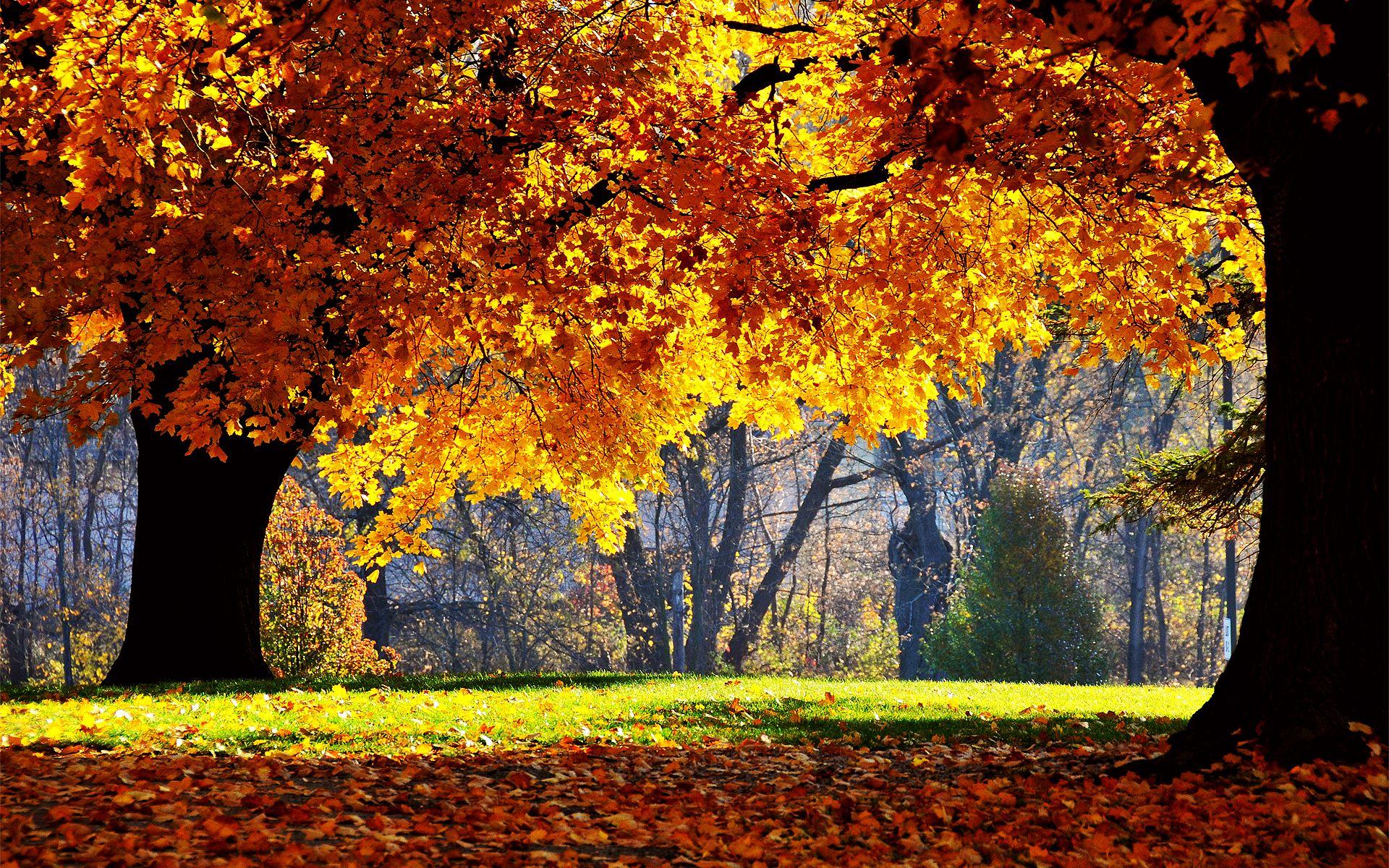 Serene Autumn Wallpapers - Top Free Serene Autumn Backgrounds ...
