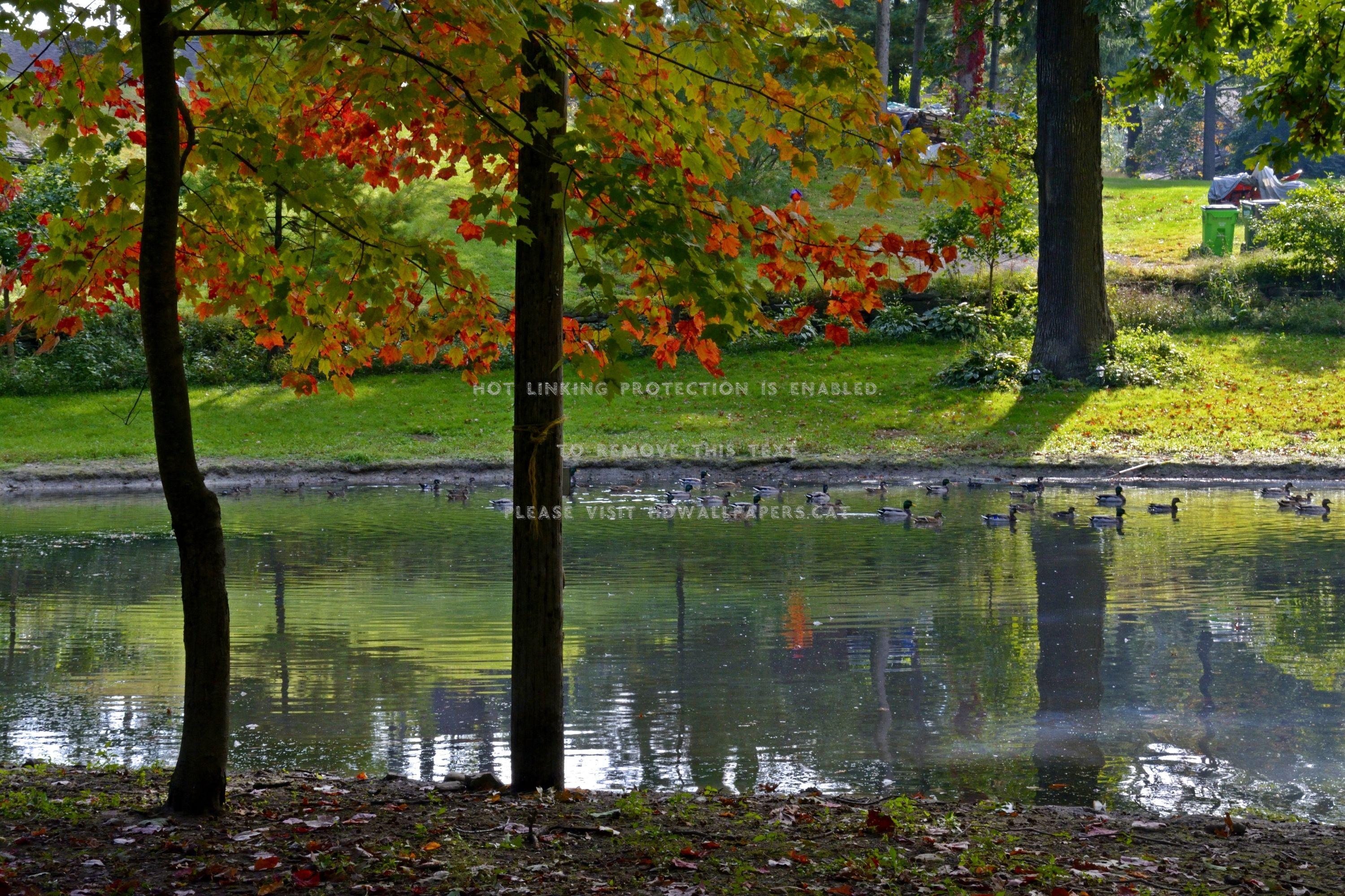 Serene Autumn Wallpapers - Top Free Serene Autumn Backgrounds ...