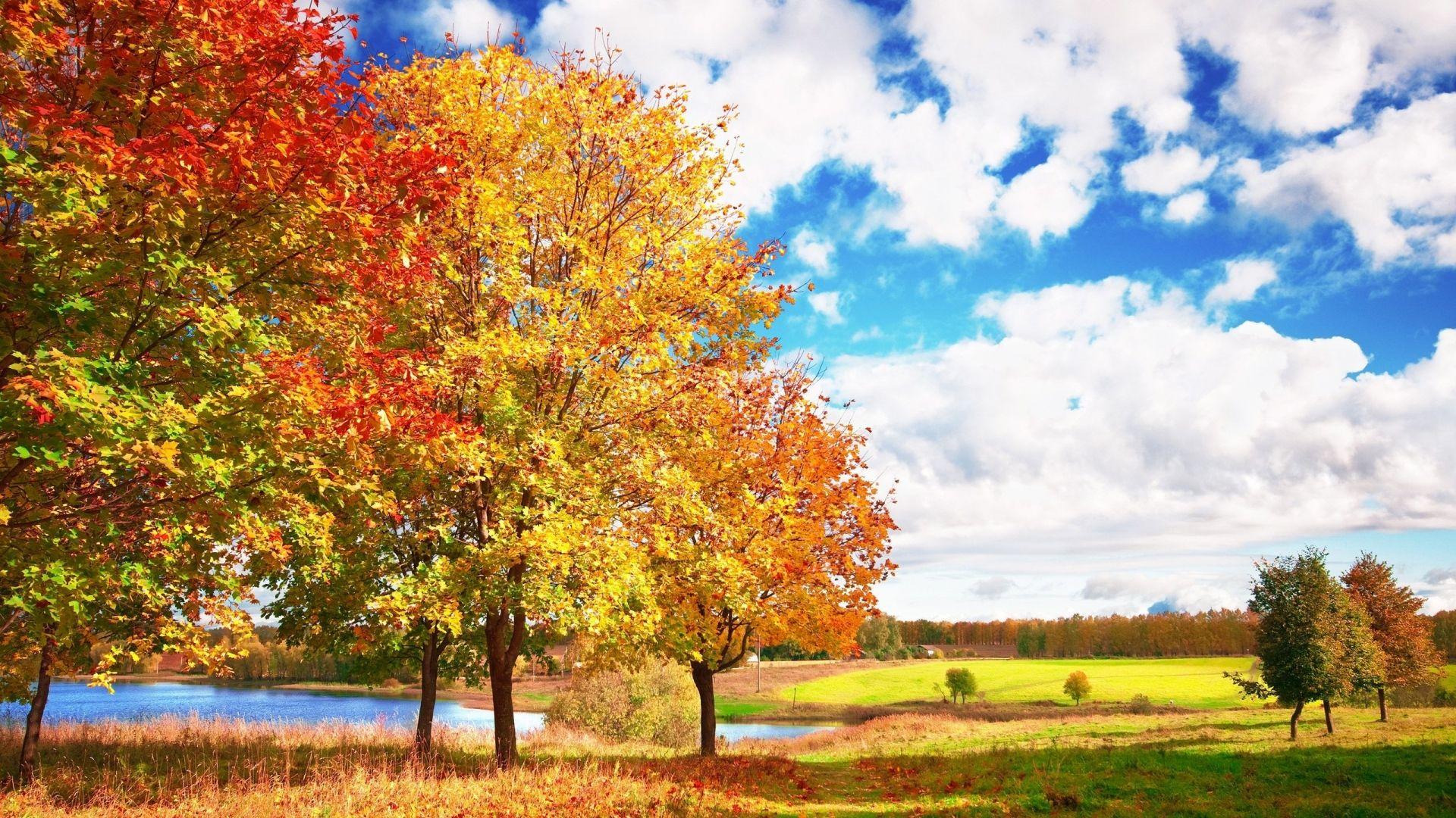 Serene Autumn Wallpapers - Top Free Serene Autumn Backgrounds ...