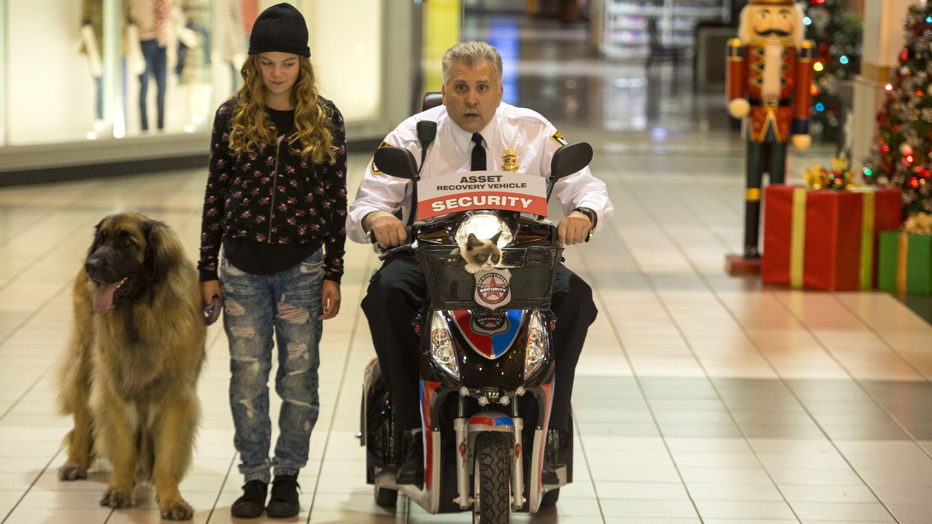 Grumpy Dog Wallpapers - Top Free Grumpy Dog Backgrounds - WallpaperAccess