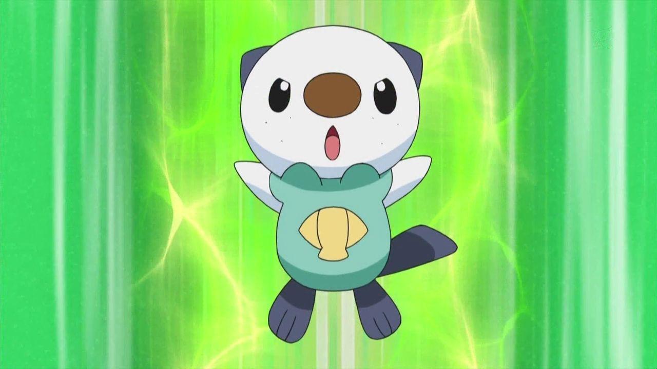 Oshawott Wallpapers - Top Free Oshawott Backgrounds - WallpaperAccess