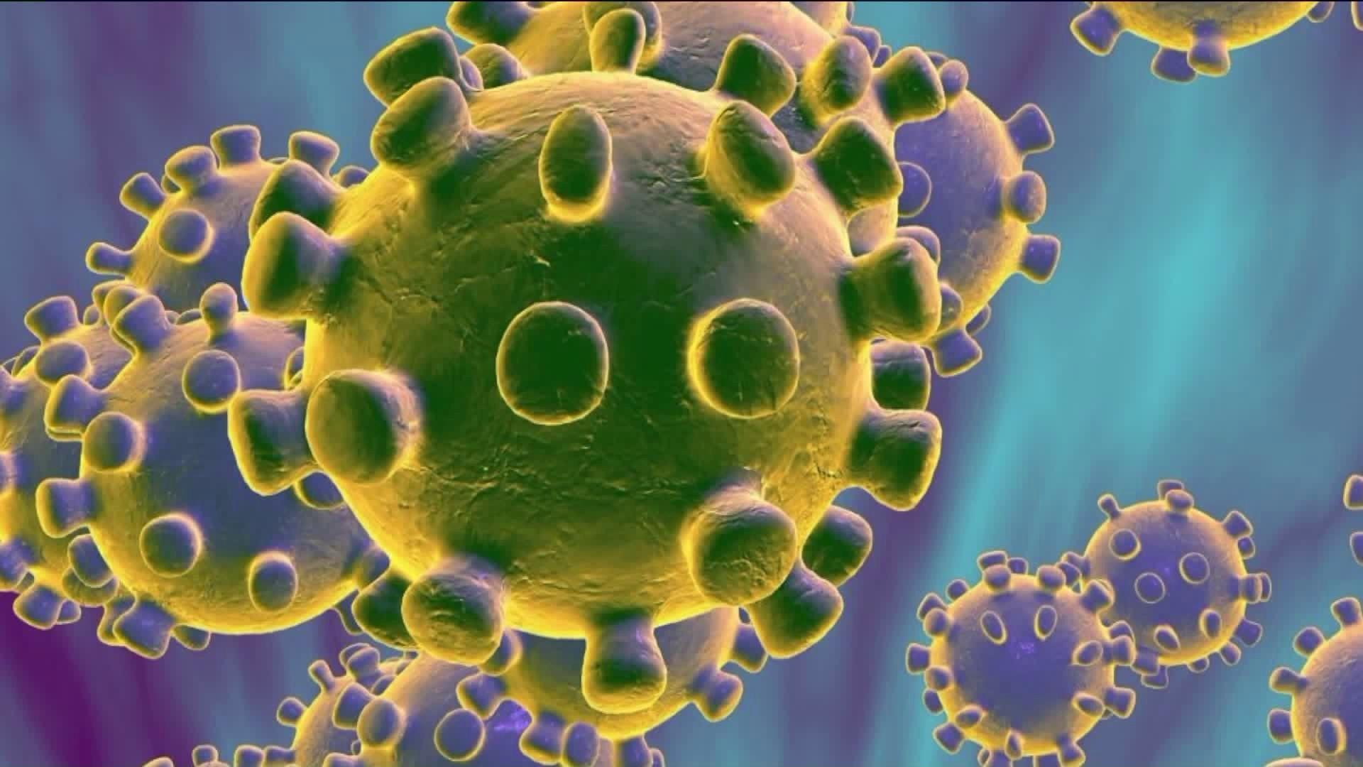 Cool Virus Wallpapers - Top Free Cool Virus Backgrounds - WallpaperAccess