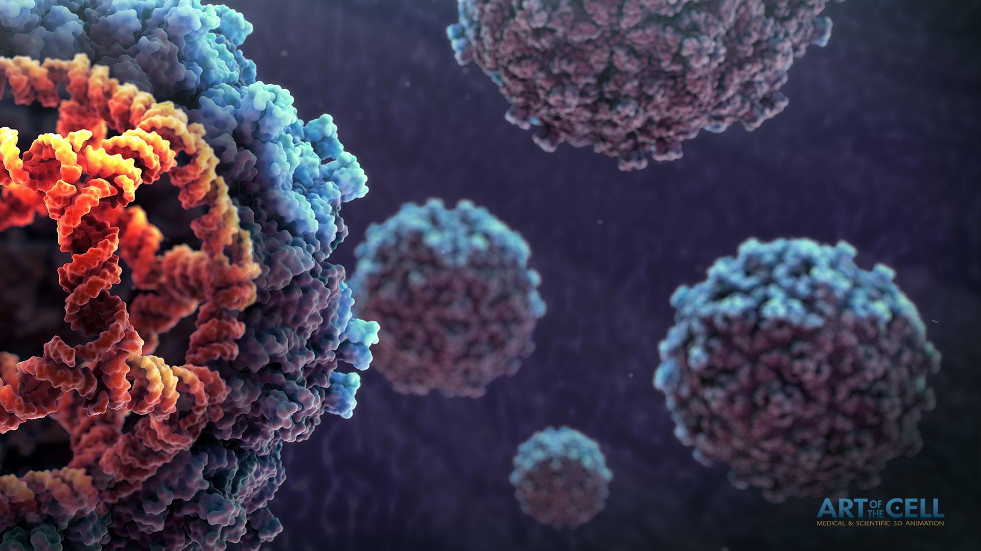3D Virus Wallpapers - Top Free 3D Virus Backgrounds - WallpaperAccess