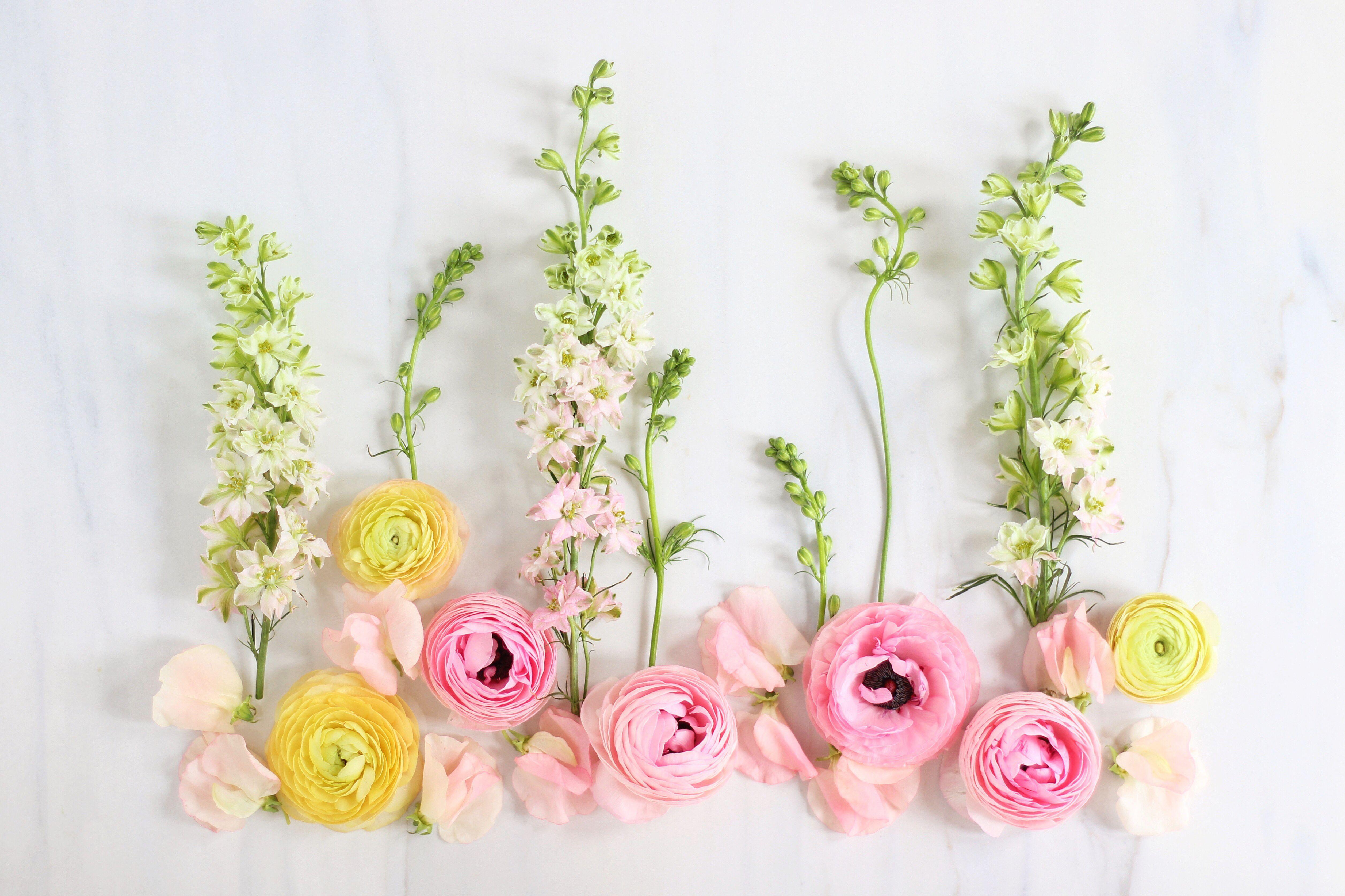 September Flower Wallpapers - Top Free September Flower Backgrounds ...