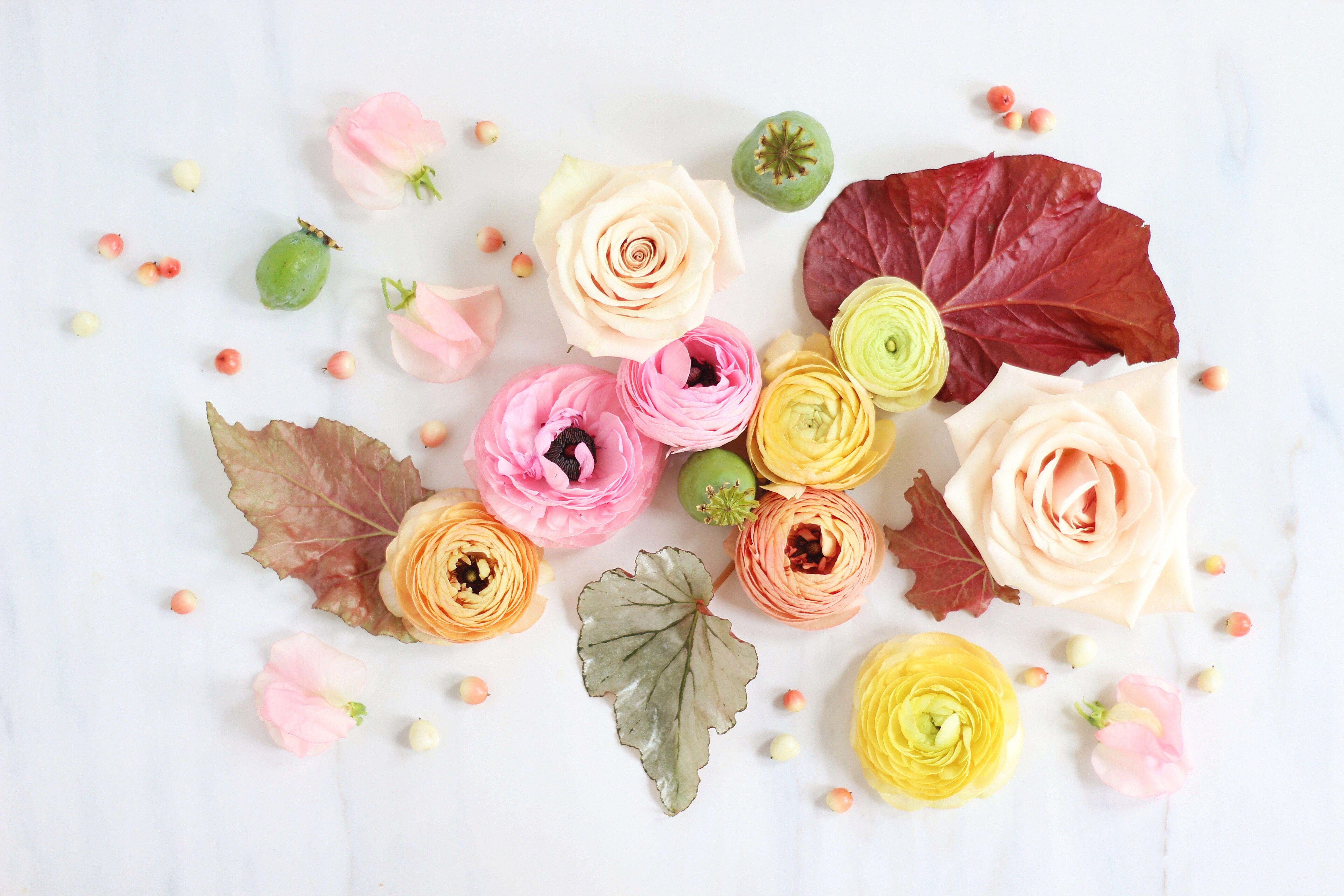 September Flower Wallpapers - Top Free September Flower Backgrounds ...