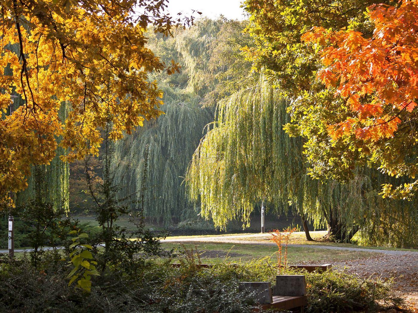Hungarian Landscape Wallpapers - Top Free Hungarian Landscape ...