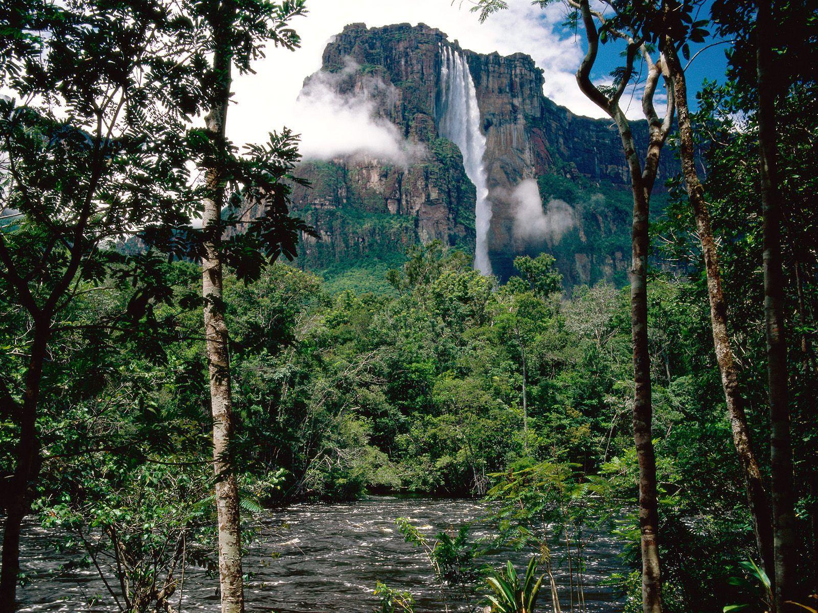 Venezuela Rainforest Wallpapers - Top Free Venezuela Rainforest ...