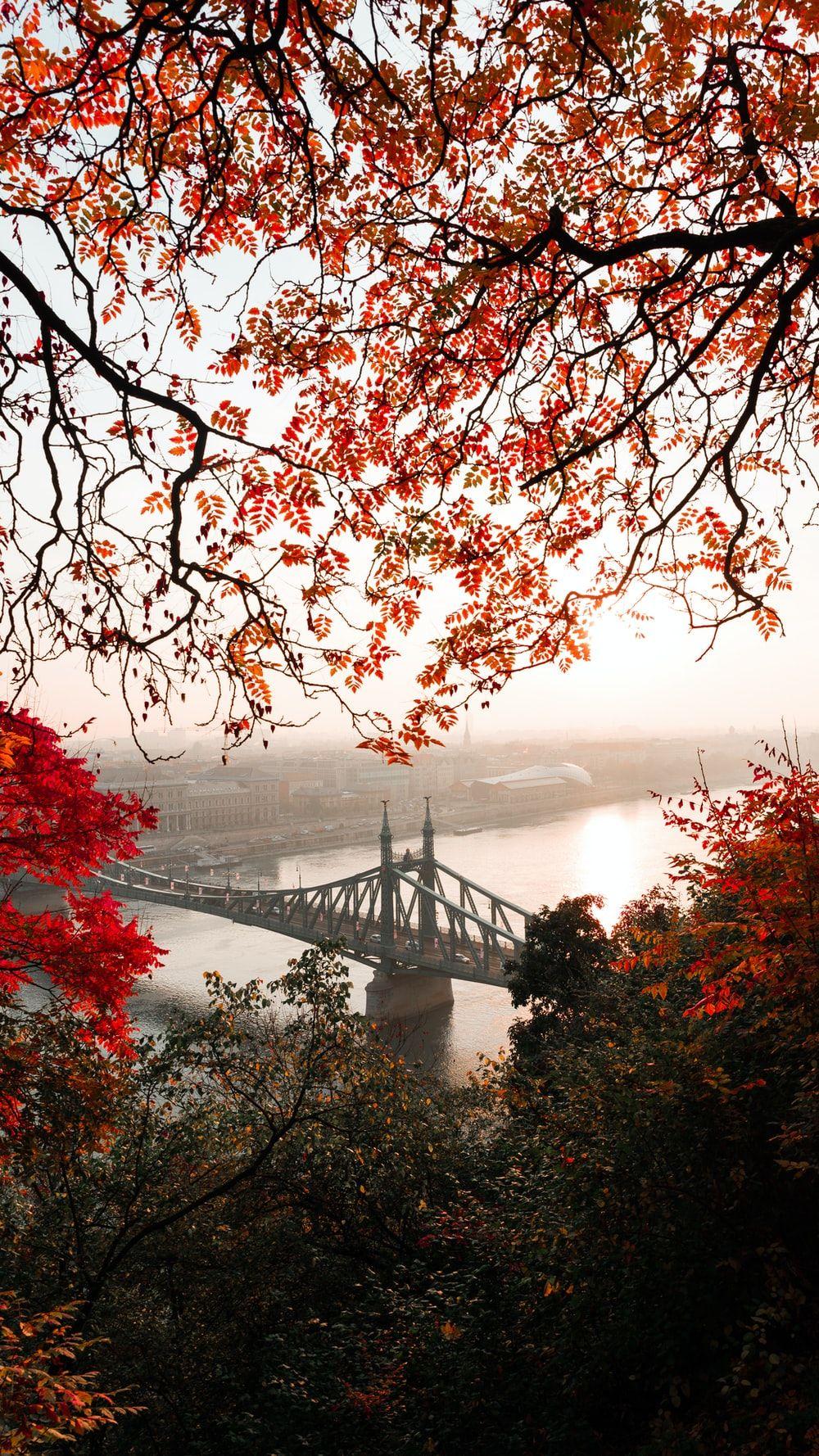 Hungarian Landscape Wallpapers - Top Free Hungarian Landscape ...
