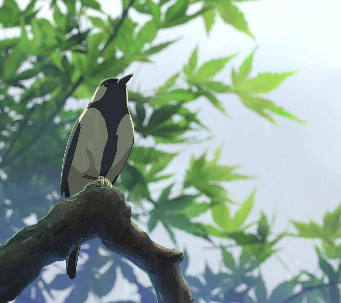 Anime Bird Wallpapers - Top Free Anime Bird Backgrounds - WallpaperAccess