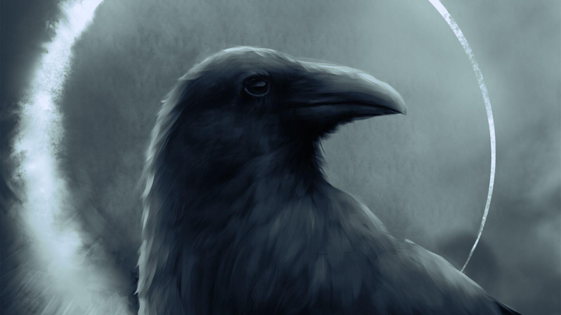 Raven Bird Wallpapers - Top Free Raven Bird Backgrounds - WallpaperAccess