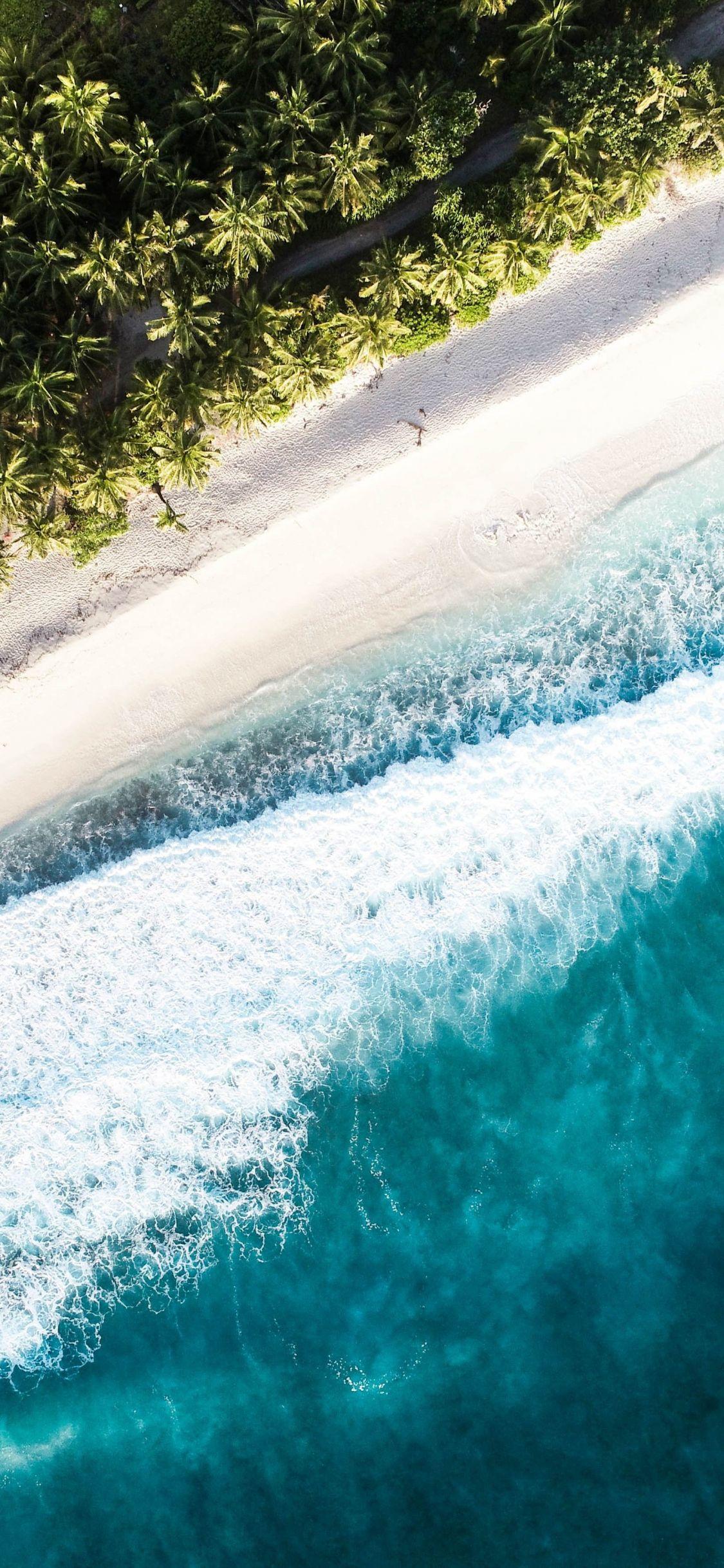 Exotic iPhone Wallpapers - Top Free Exotic iPhone Backgrounds ...