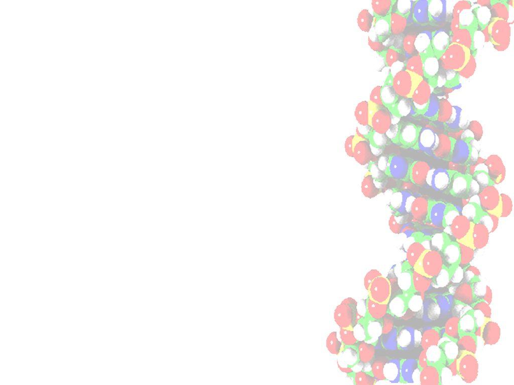 Protein Wallpapers - Top Free Protein Backgrounds - WallpaperAccess