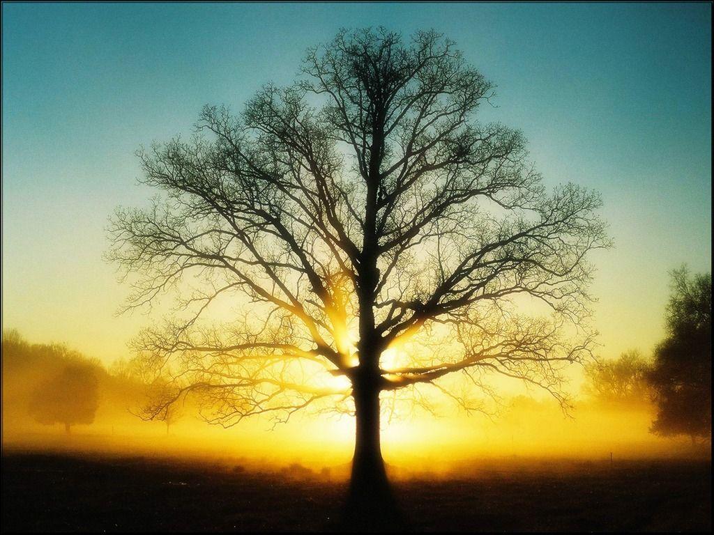 Cool Scenery Wallpapers - Top Free Cool Scenery Backgrounds ...