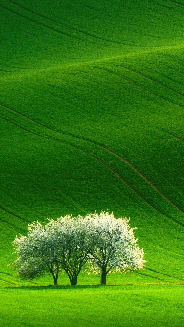 Beautiful Green Wallpapers - Top Free Beautiful Green Backgrounds ...