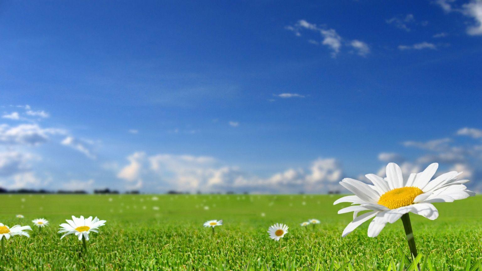 Blue Sky Laptop Wallpapers - Top Free Blue Sky Laptop Backgrounds ...