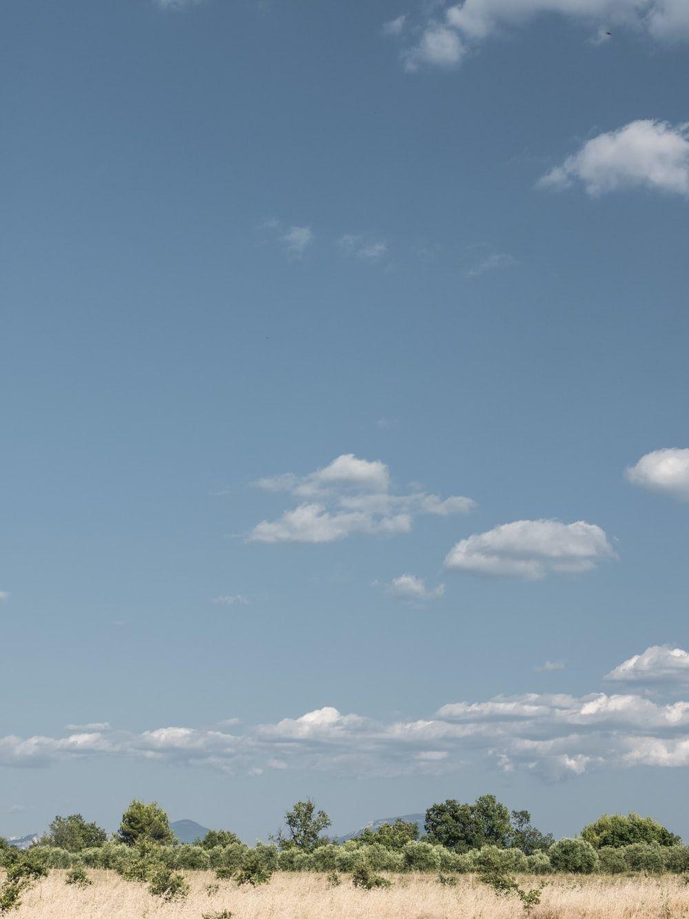 Field Sky Wallpapers - Top Free Field Sky Backgrounds - WallpaperAccess