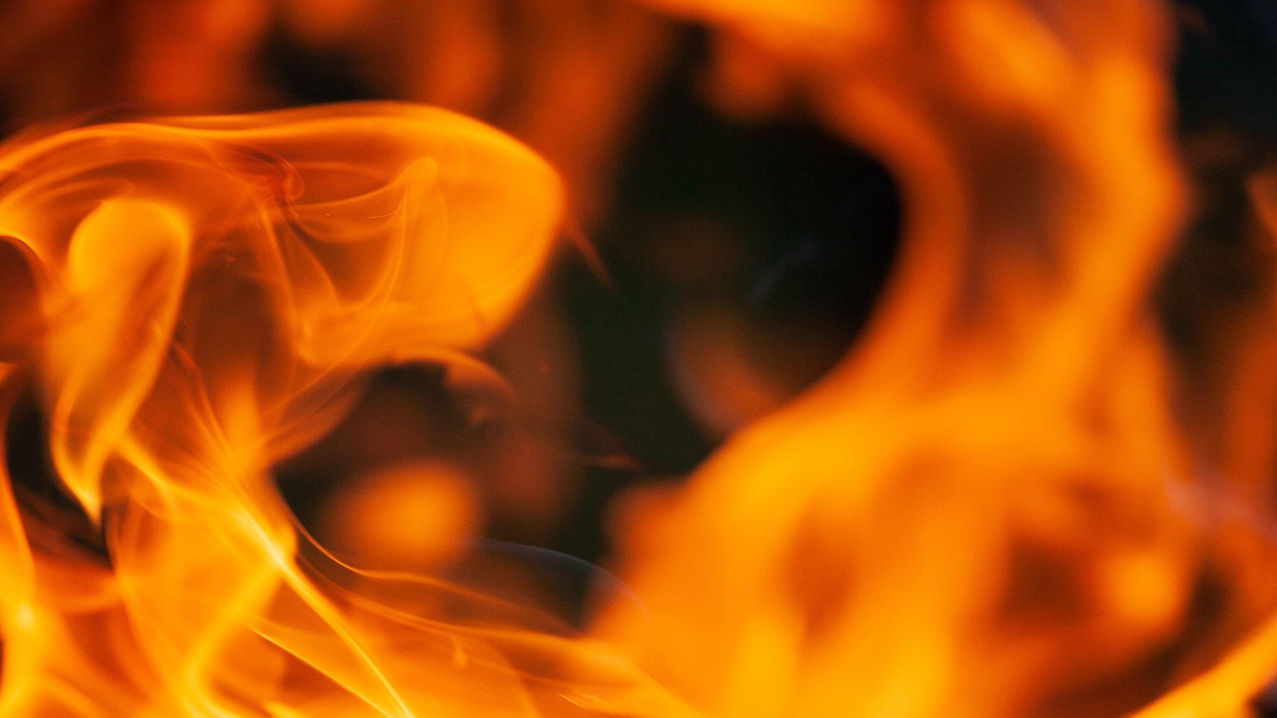 2560X1440 Fire Wallpapers - Top Free 2560X1440 Fire Backgrounds ...