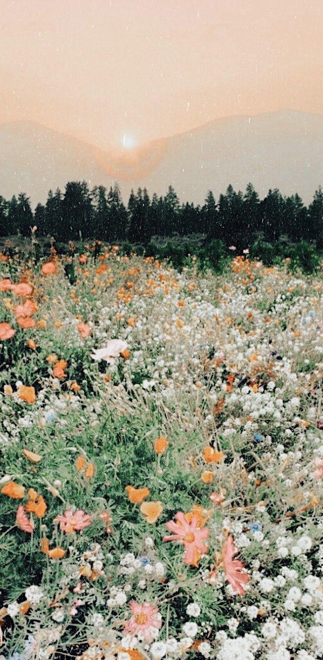 Nature Collage Wallpapers - Top Free Nature Collage Backgrounds ...