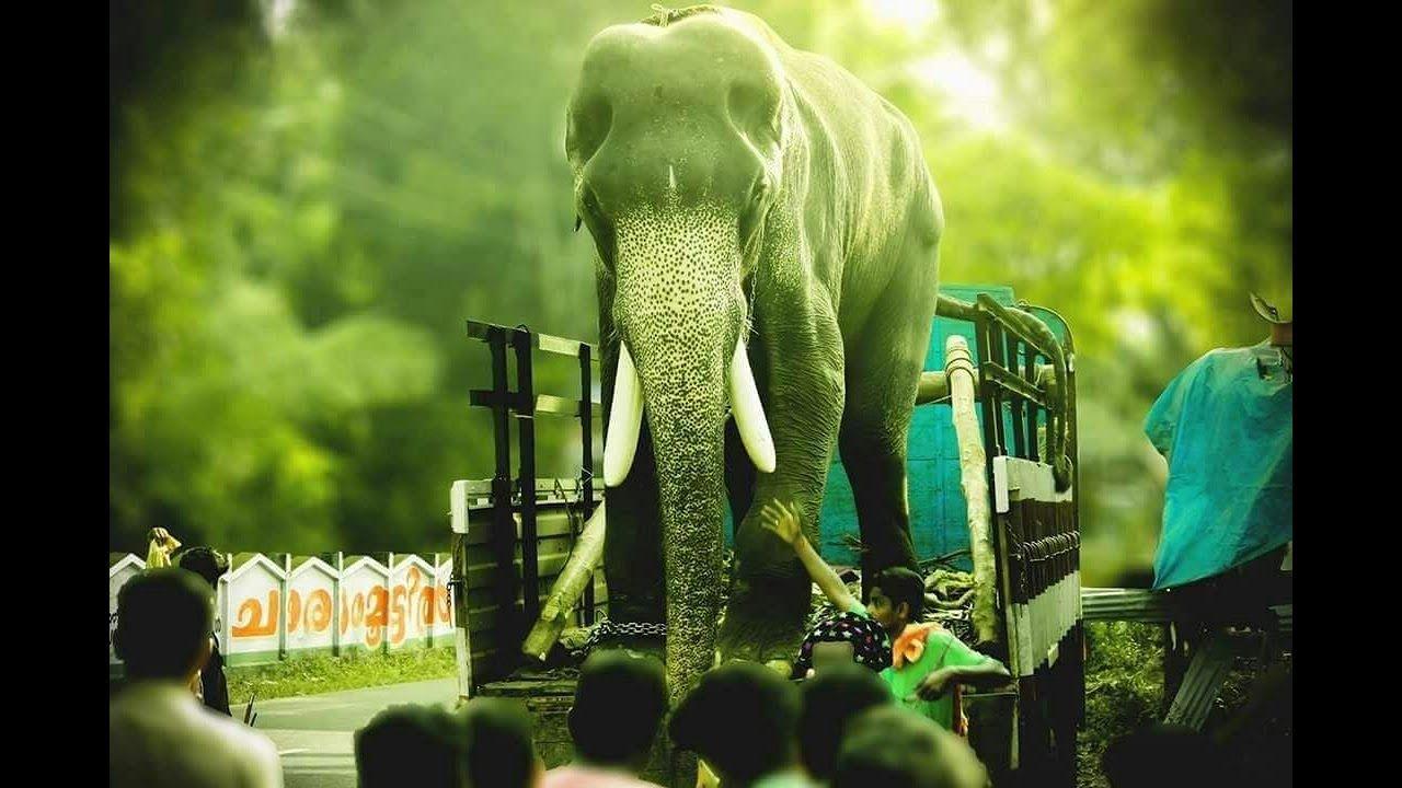 Karnan Wallpapers - Top Free Karnan Backgrounds - WallpaperAccess