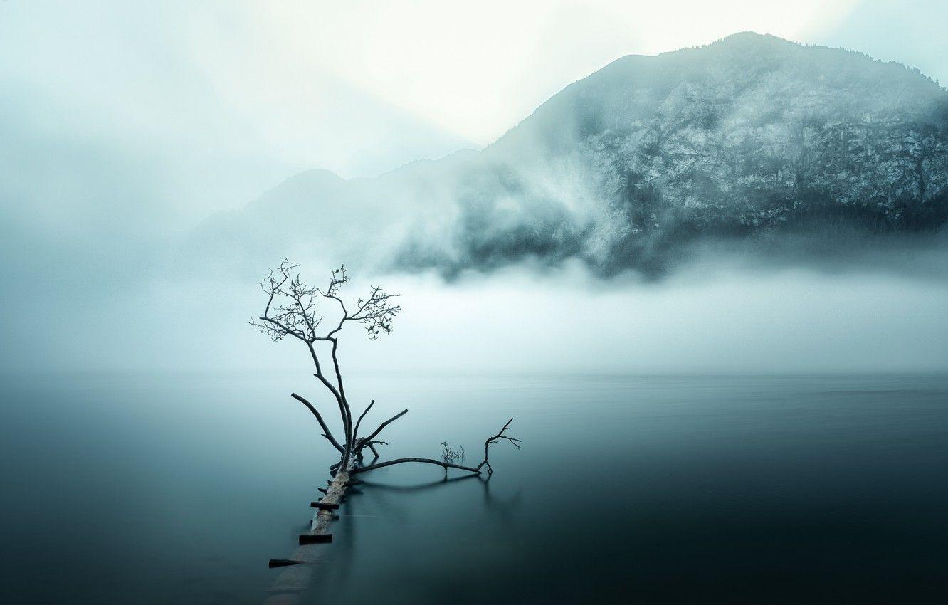 Lake Fog Wallpapers - Top Free Lake Fog Backgrounds - WallpaperAccess