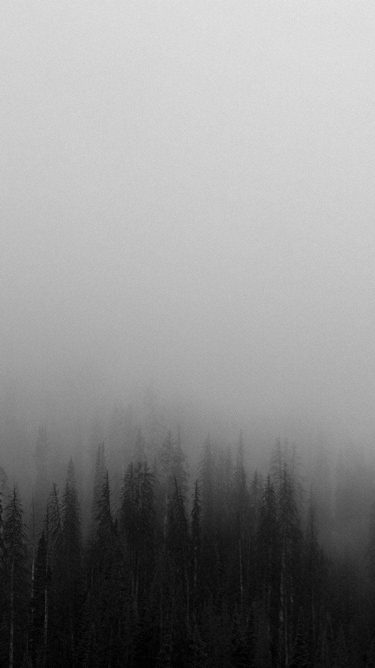 White Fog Wallpapers - Top Free White Fog Backgrounds - WallpaperAccess