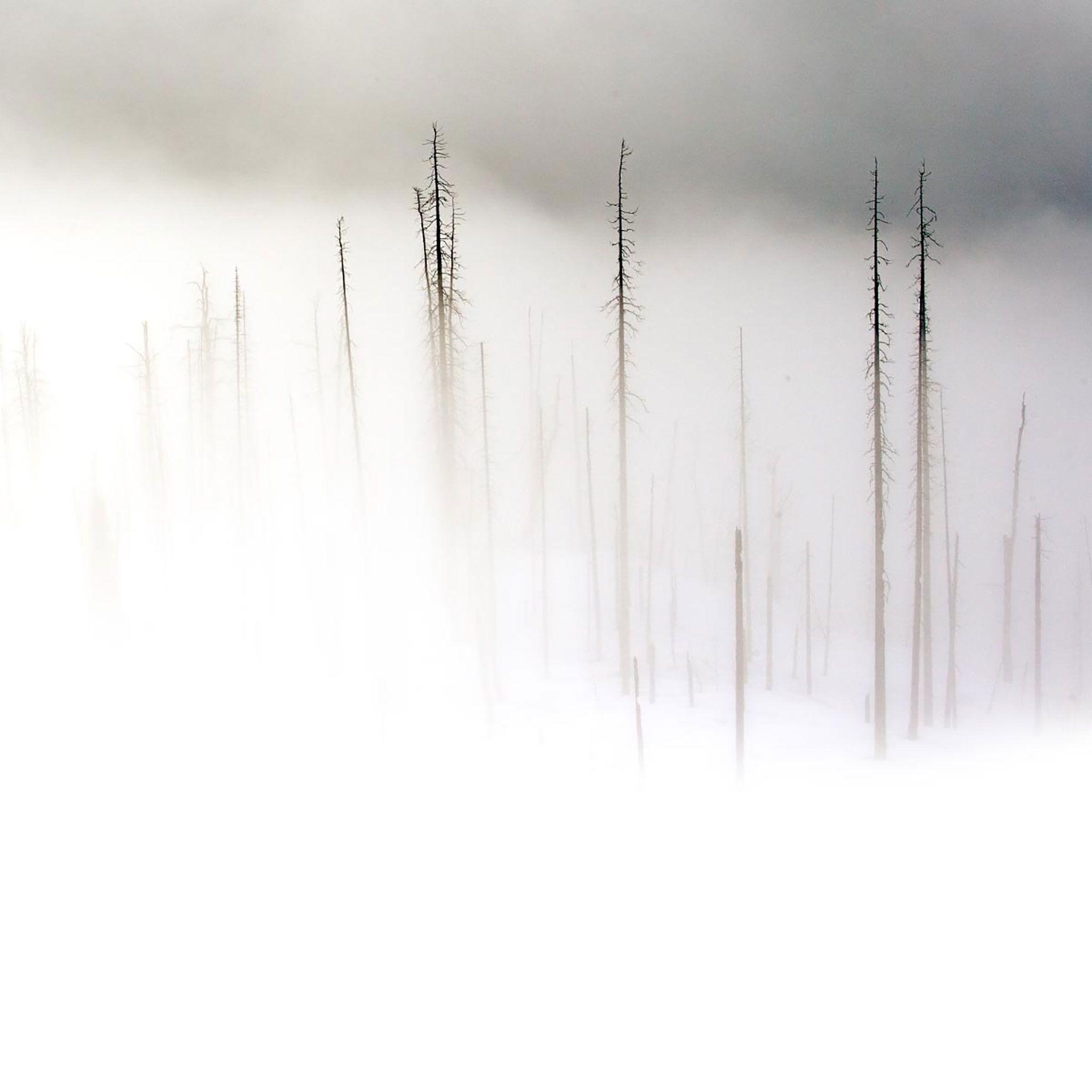 White Fog Wallpapers - Top Free White Fog Backgrounds - WallpaperAccess