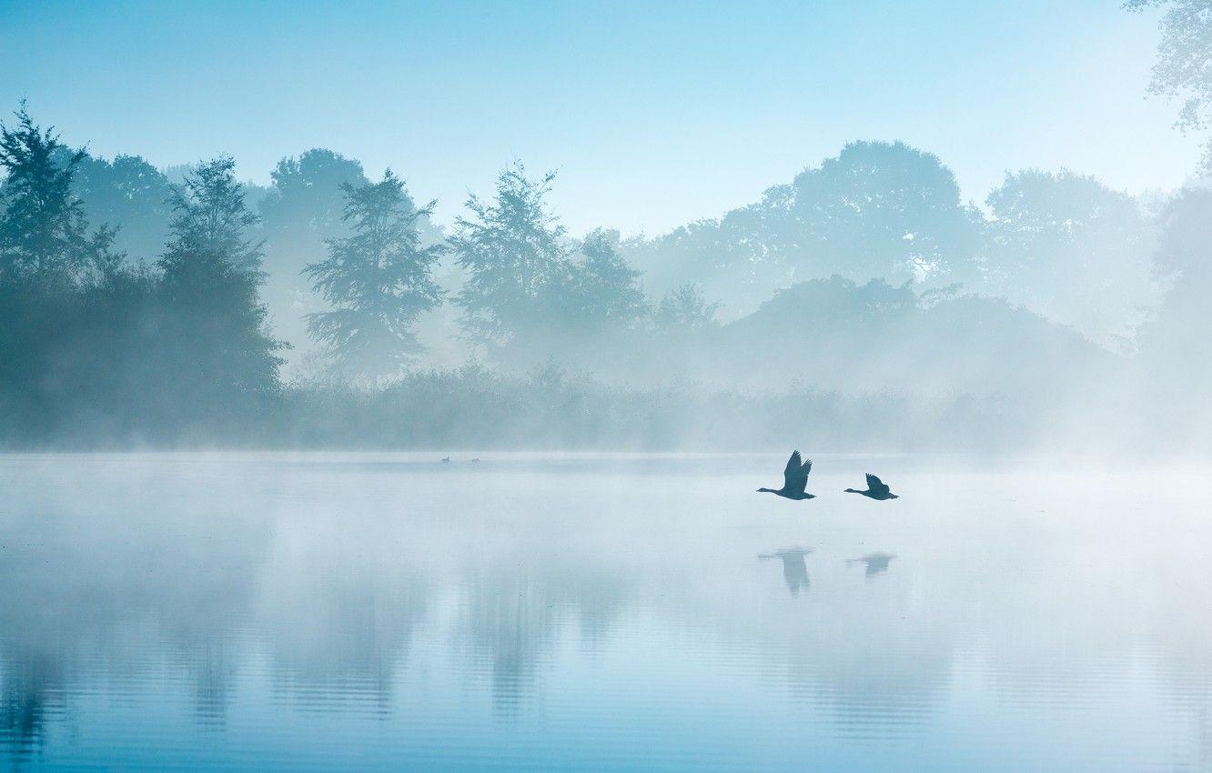 Lake Fog Wallpapers - Top Free Lake Fog Backgrounds - WallpaperAccess