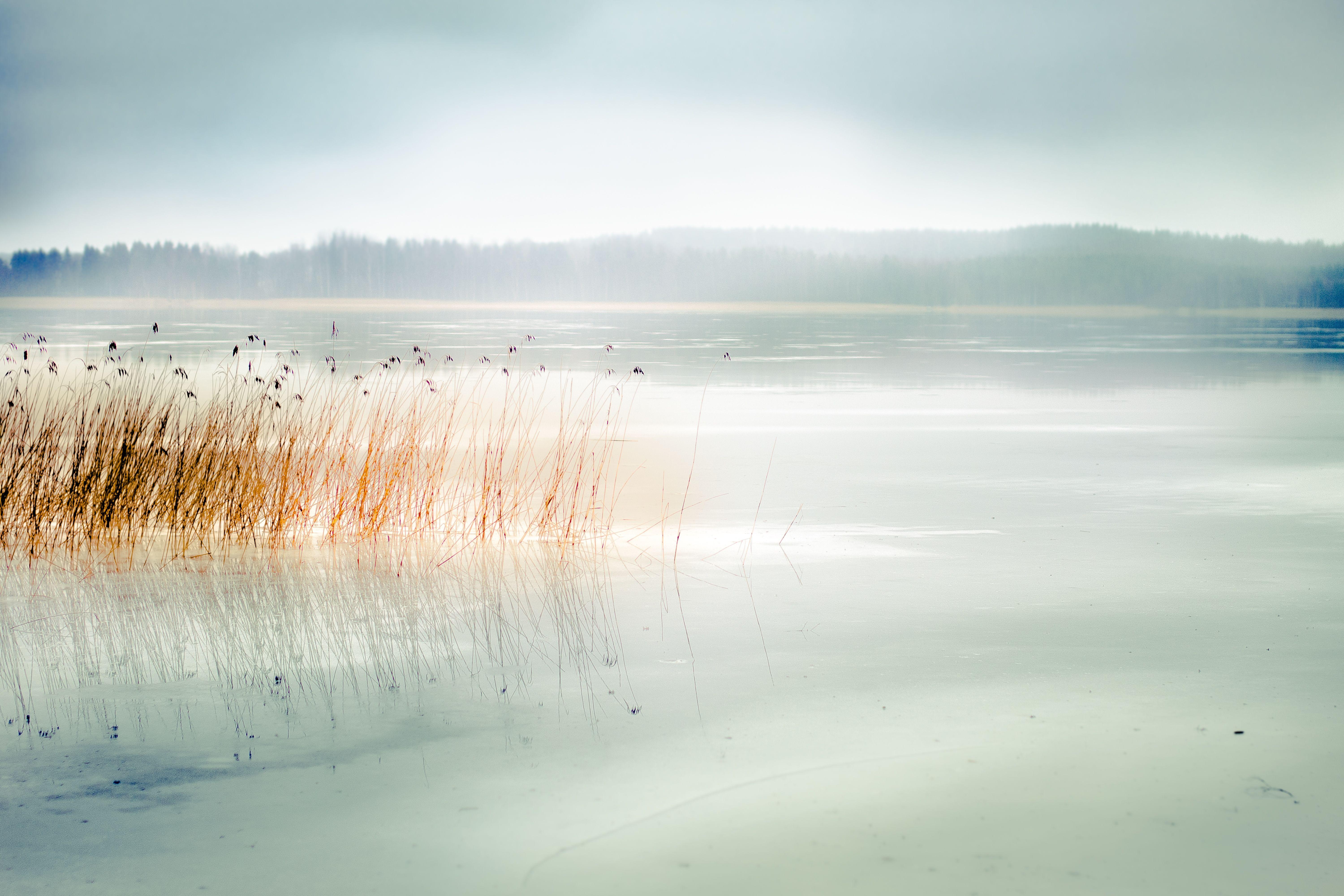 Lake Fog Wallpapers - Top Free Lake Fog Backgrounds - WallpaperAccess