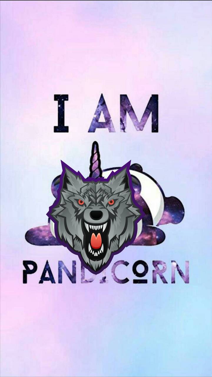 Pandacorn Wallpapers - Top Free Pandacorn Backgrounds - WallpaperAccess