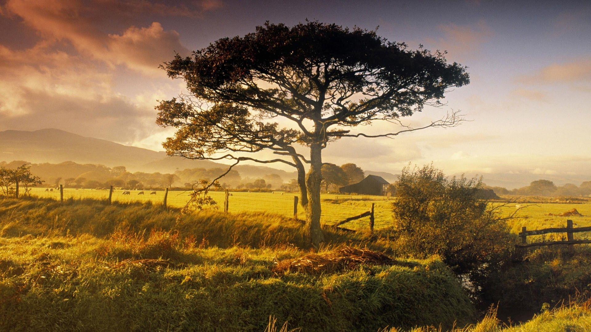 Wales Wallpapers - Top Free Wales Backgrounds - WallpaperAccess