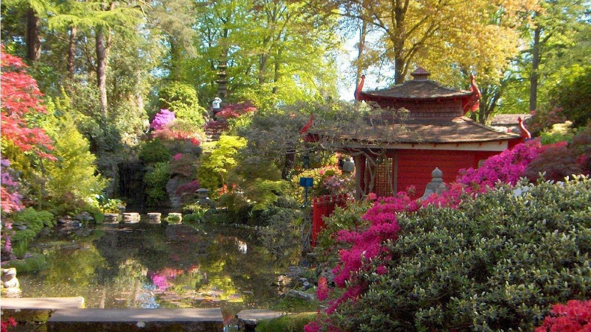 Epic Japanese Nature Wallpapers - Top Free Epic Japanese Nature ...