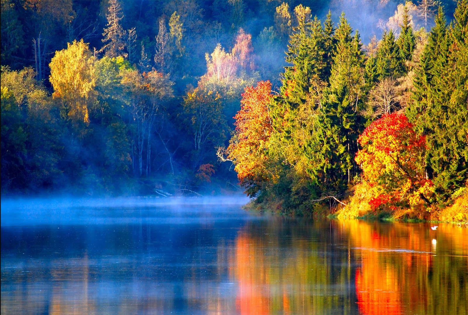 Autumn Beautiful Bird Wallpapers - Top Free Autumn Beautiful Bird ...