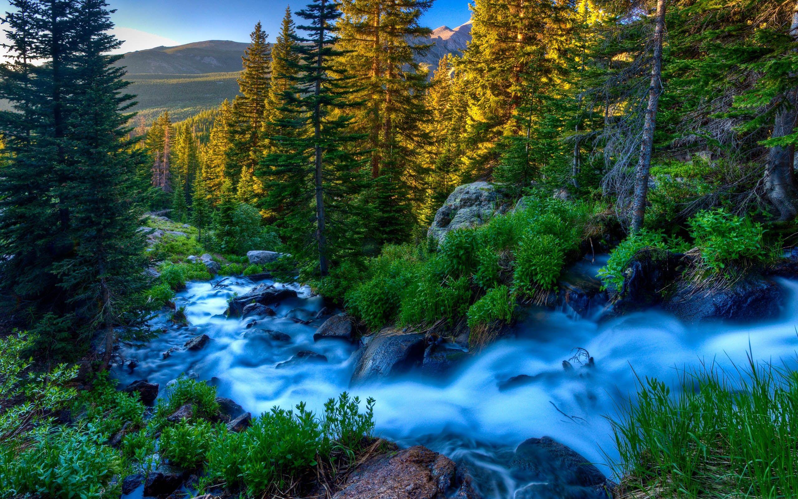 Rivers Wallpapers - Top Free Rivers Backgrounds - WallpaperAccess
