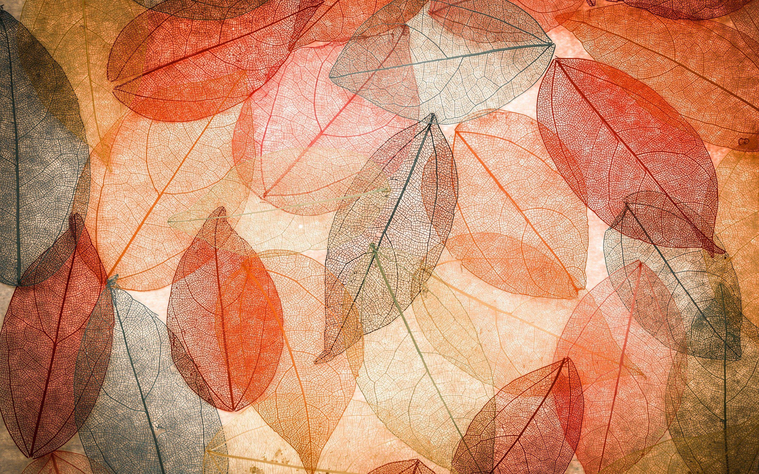 Leaf Texture Wallpapers - Top Free Leaf Texture Backgrounds ...