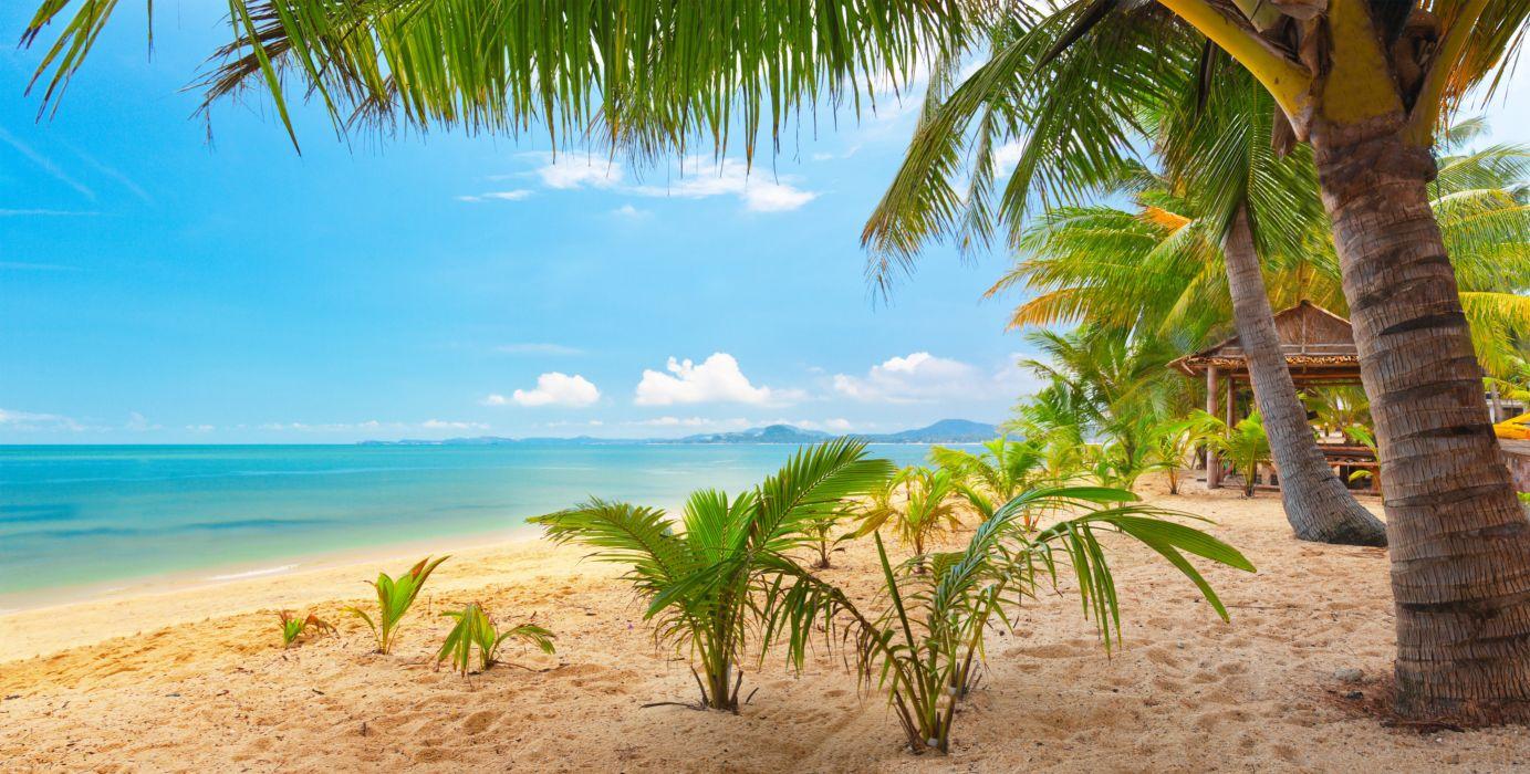 Tropical Landscape Wallpapers - Top Free Tropical Landscape Backgrounds ...
