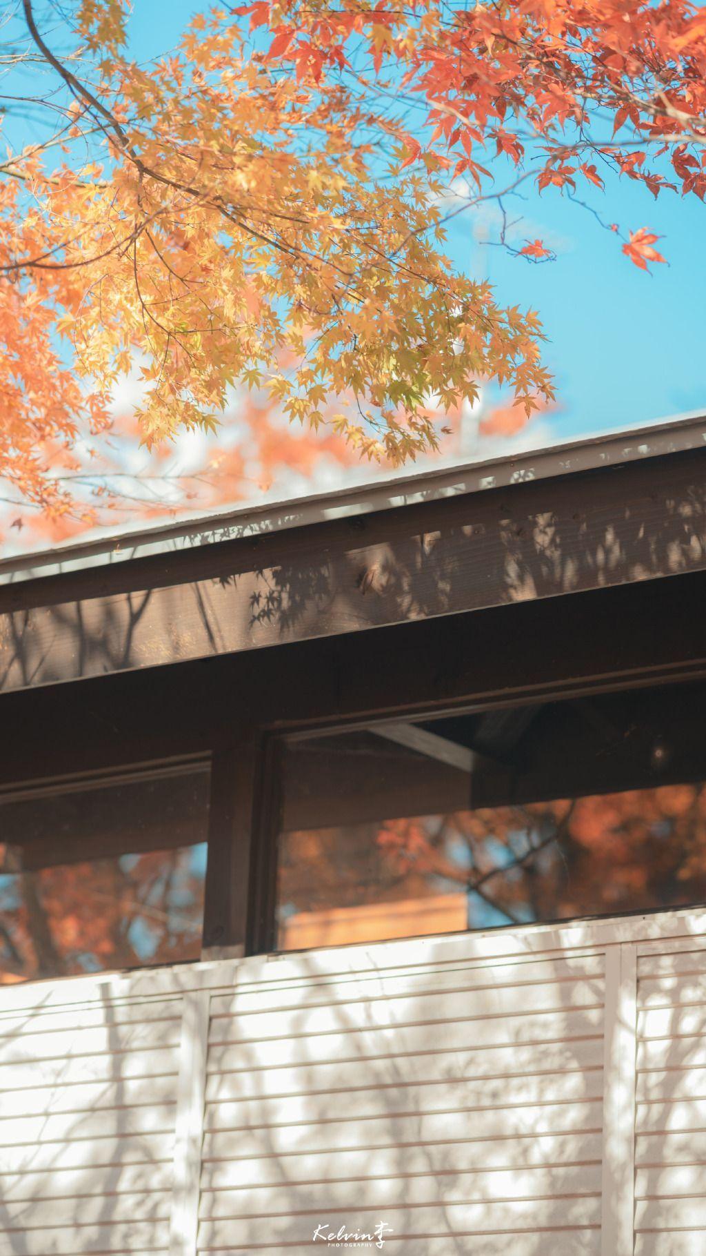 Warm Scenery Wallpapers - Top Free Warm Scenery Backgrounds ...