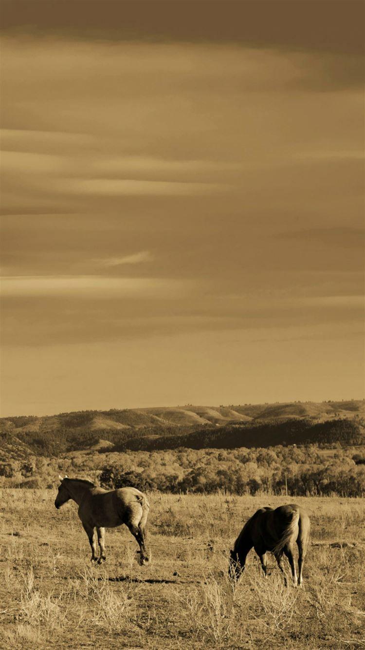 Wild Scenery Wallpapers - Top Free Wild Scenery Backgrounds ...