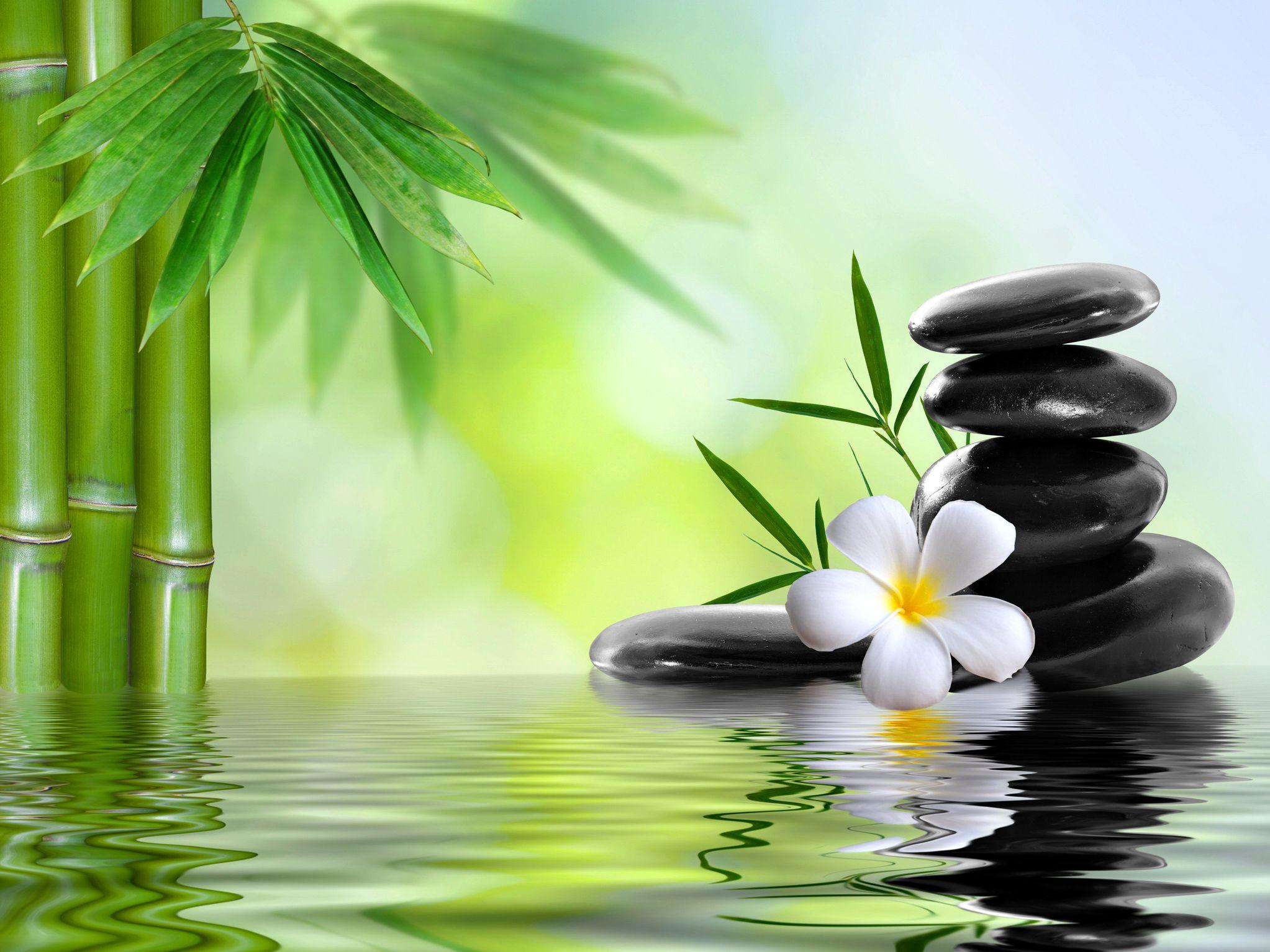 Spa Flowers Wallpapers - Top Free Spa Flowers Backgrounds - WallpaperAccess