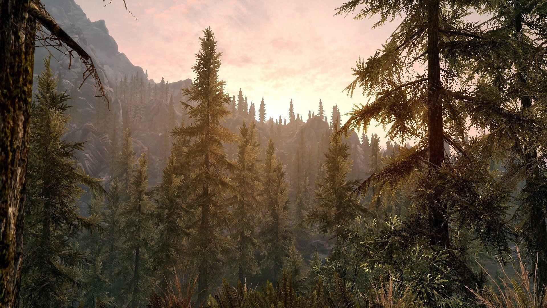Skyrim Landscape Wallpapers - Top Free Skyrim Landscape Backgrounds ...