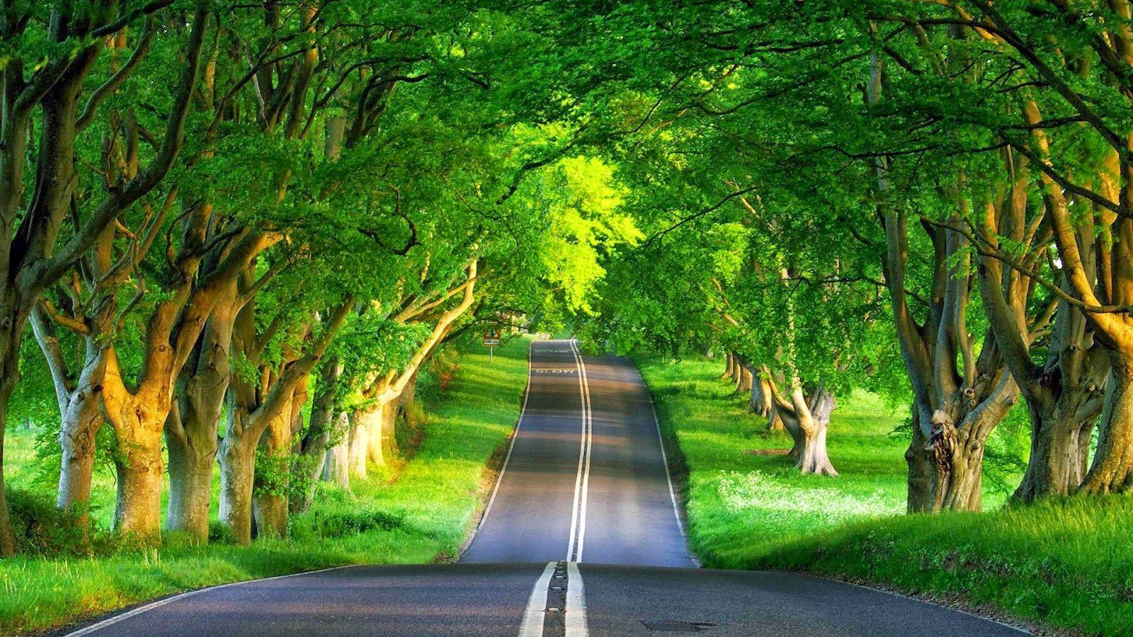 Scene HD Wallpapers - Top Free Scene HD Backgrounds - WallpaperAccess