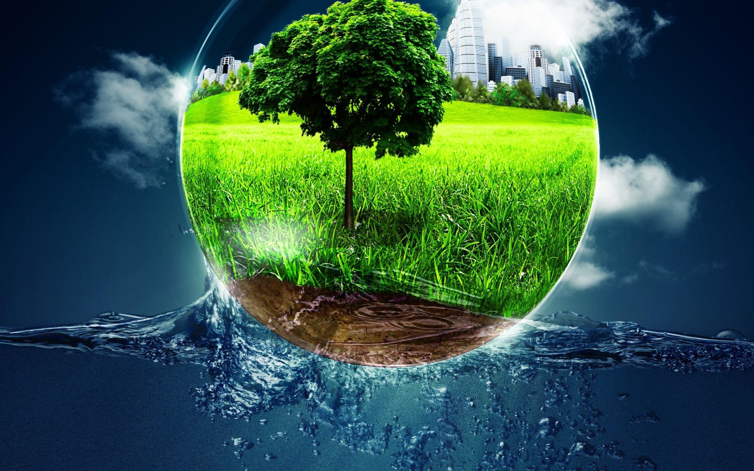 Green Environment Wallpaper