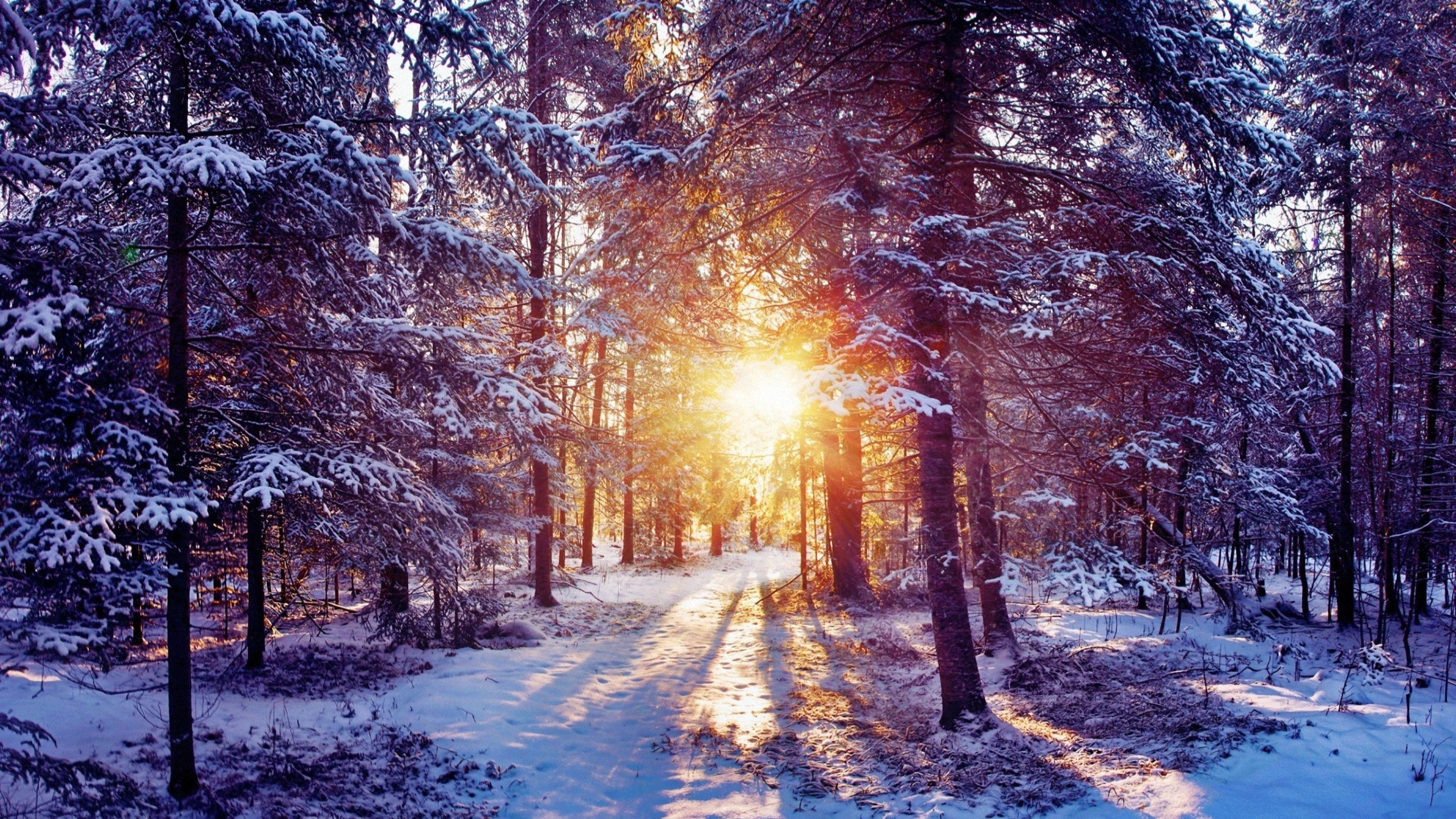 Snow Desktop Wallpapers Top Free Snow Desktop Backgrounds