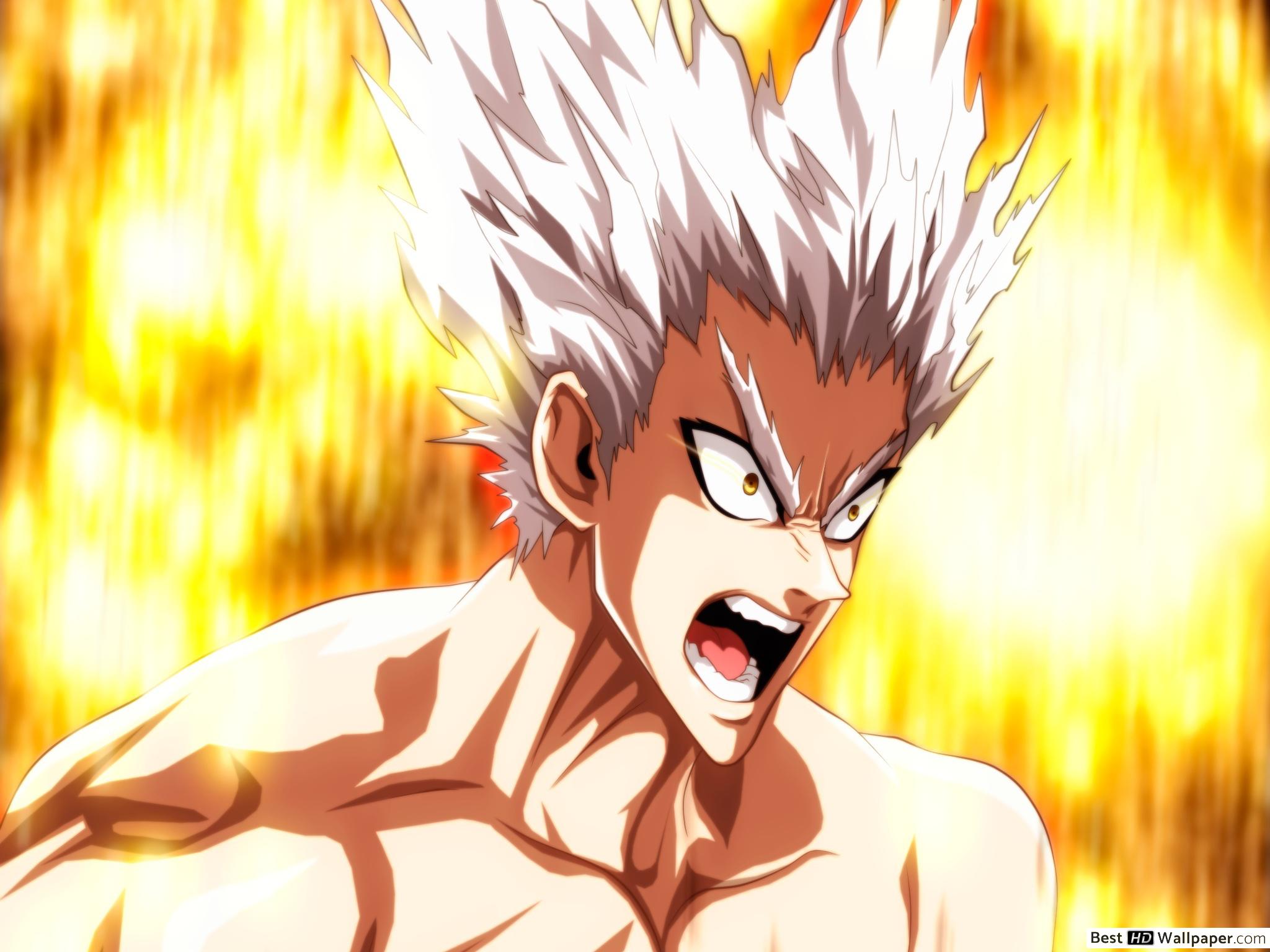 One Punch Man Garou Wallpapers - Top Free One Punch Man Garou ...