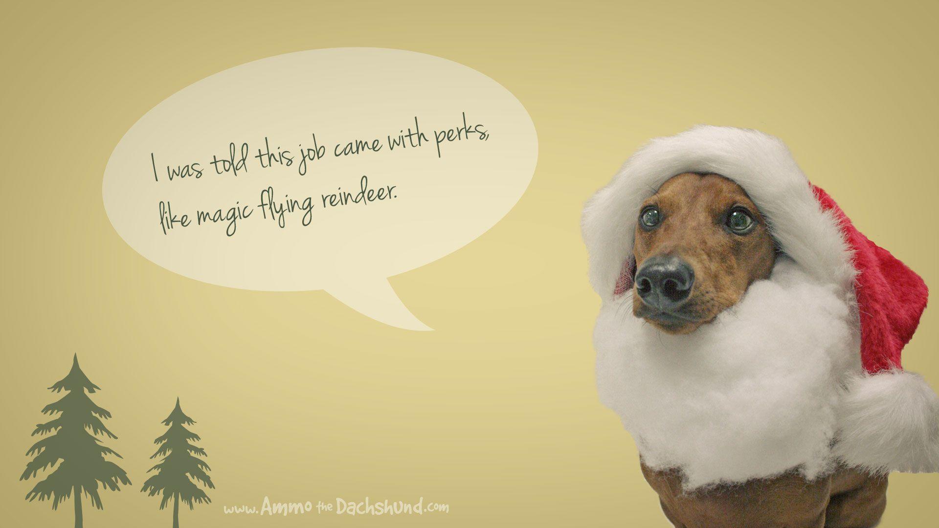 Funny Holiday Desktop Wallpapers - Top Free Funny Holiday Desktop ...