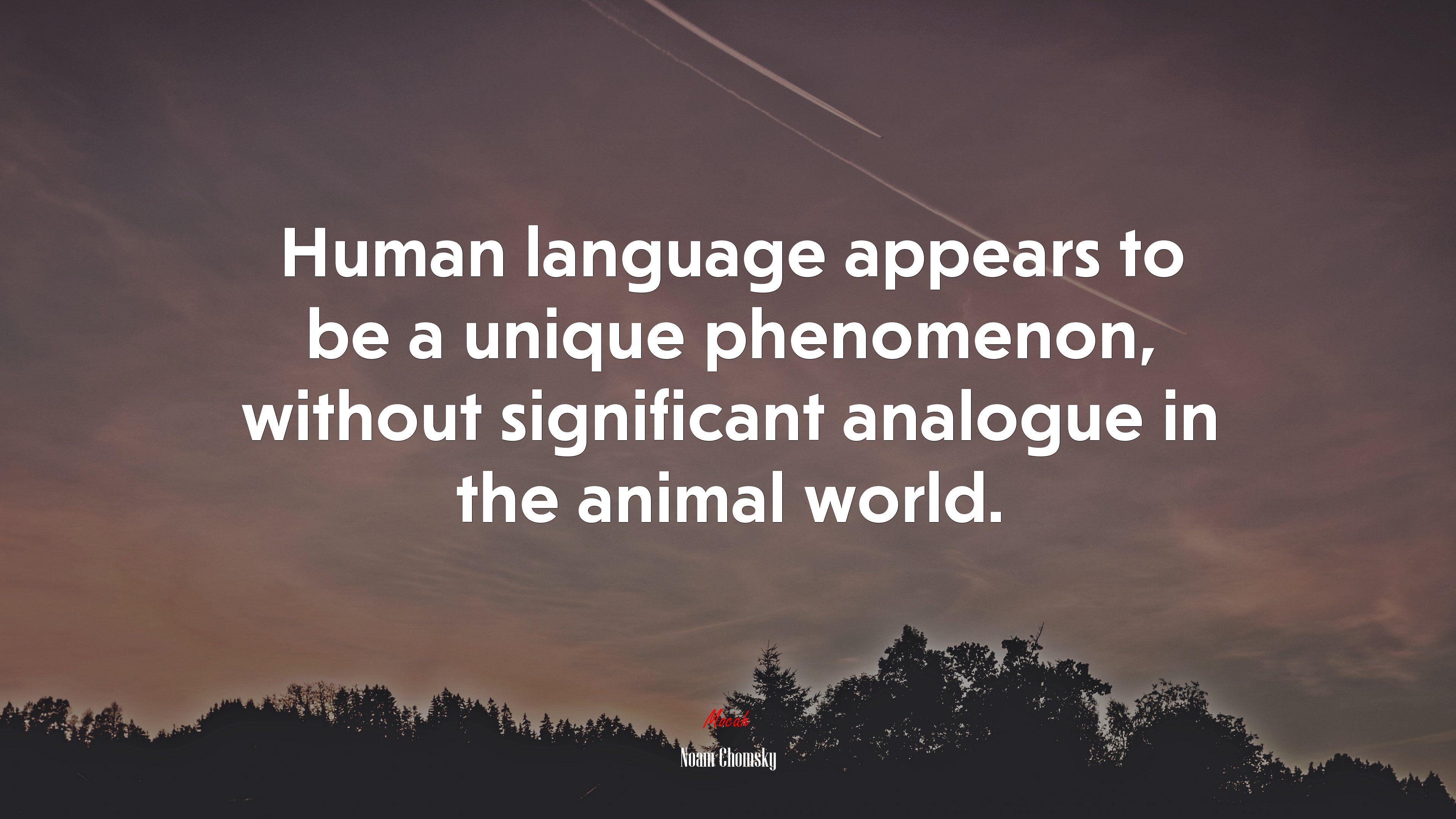 Analogue Wallpapers - Top Free Analogue Backgrounds - WallpaperAccess