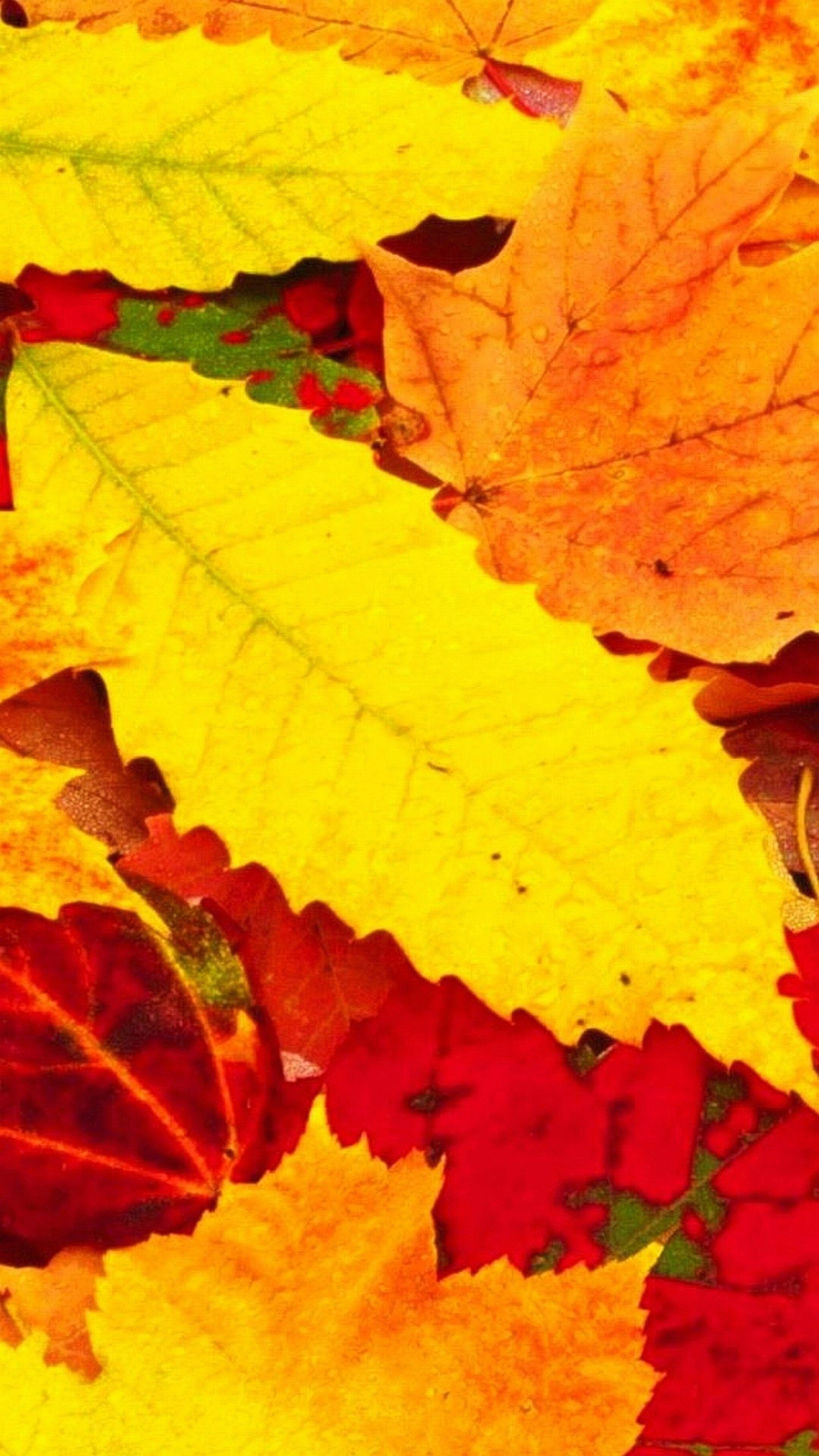 Samsung Galaxy Note HD Wallpapers - Top Free Samsung Galaxy Note HD Backgrounds - WallpaperAccess