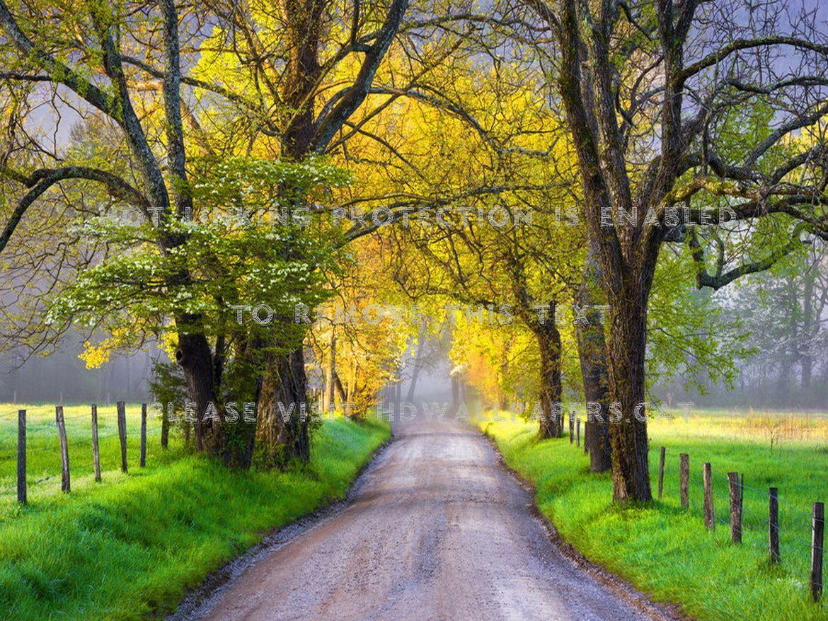 Cades Cove Wallpapers - Top Free Cades Cove Backgrounds - WallpaperAccess