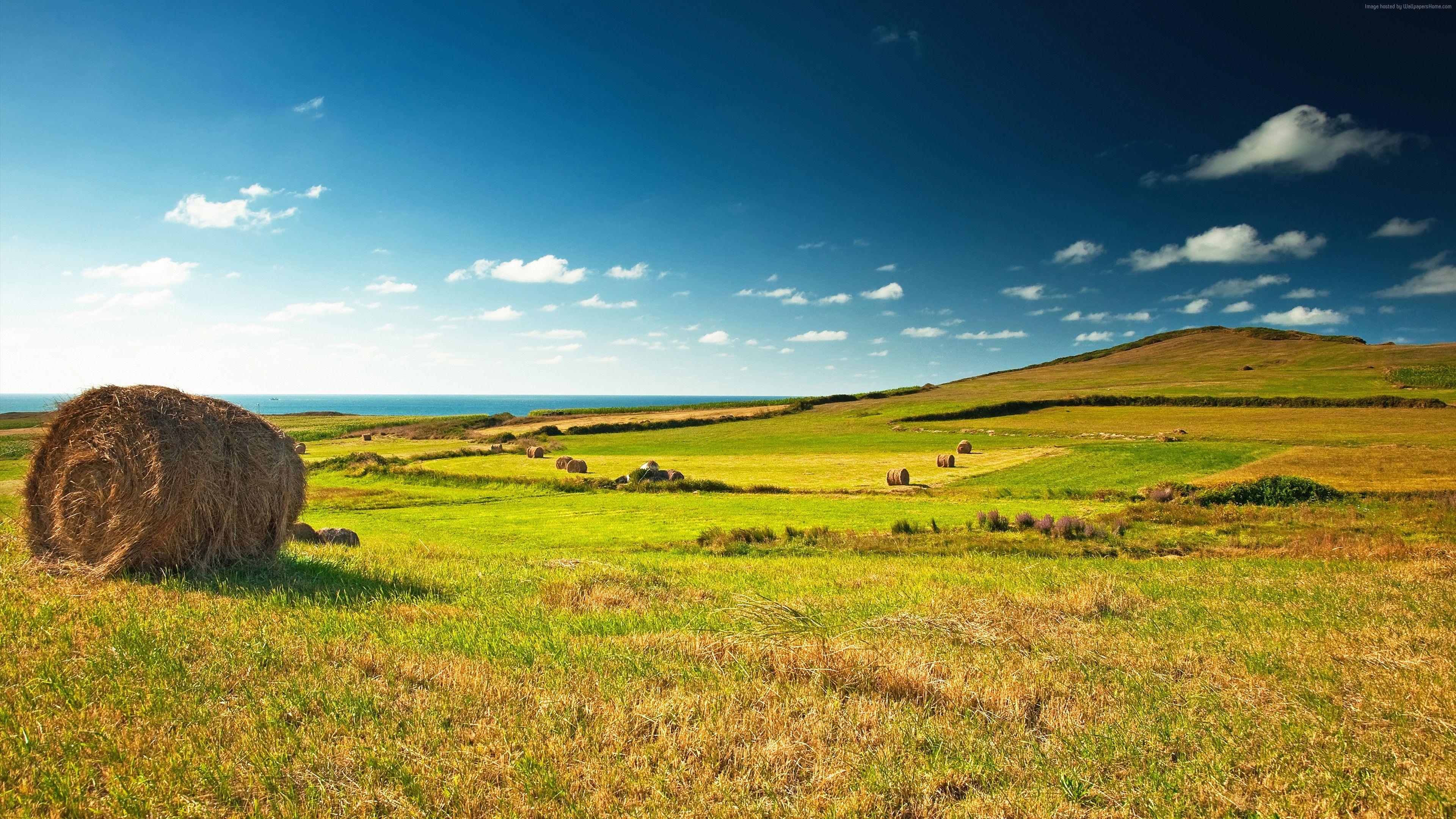 Meadow Wallpapers - Top Free Meadow Backgrounds - WallpaperAccess