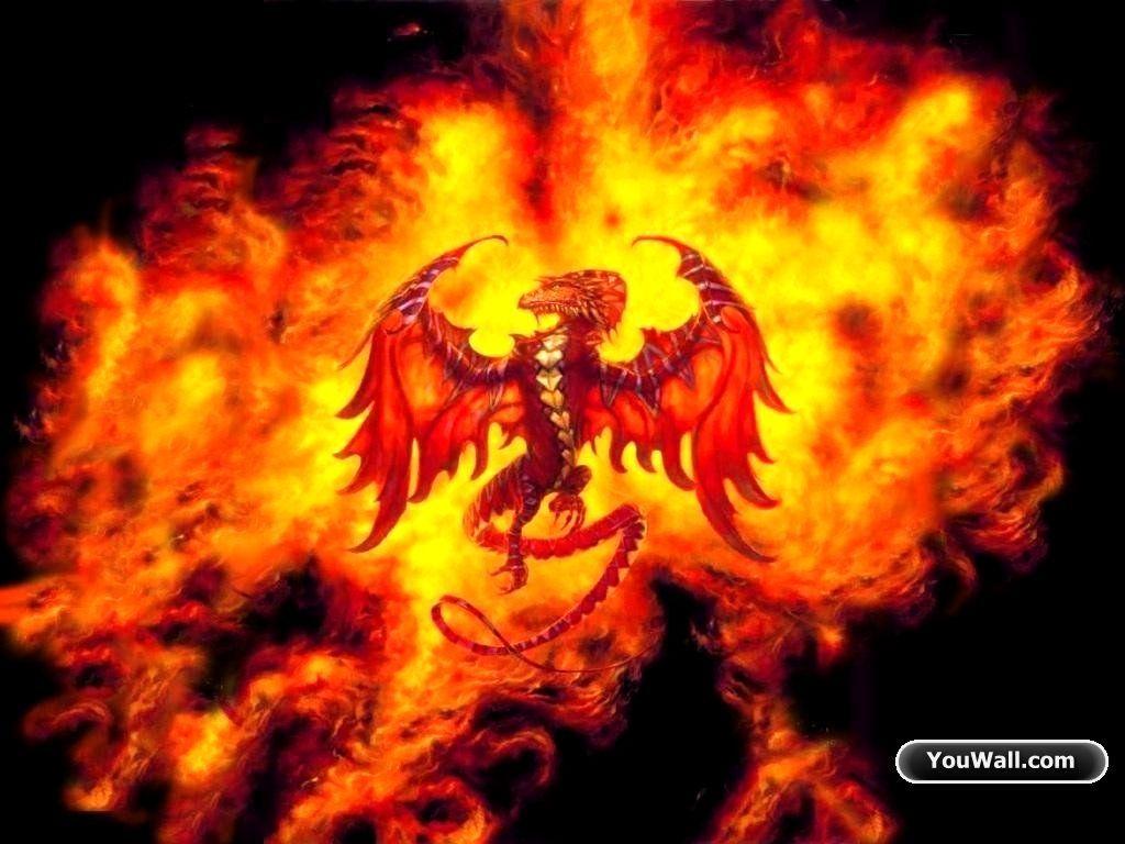 Cool Fire Dragon Wallpapers - Top Free Cool Fire Dragon Backgrounds ...