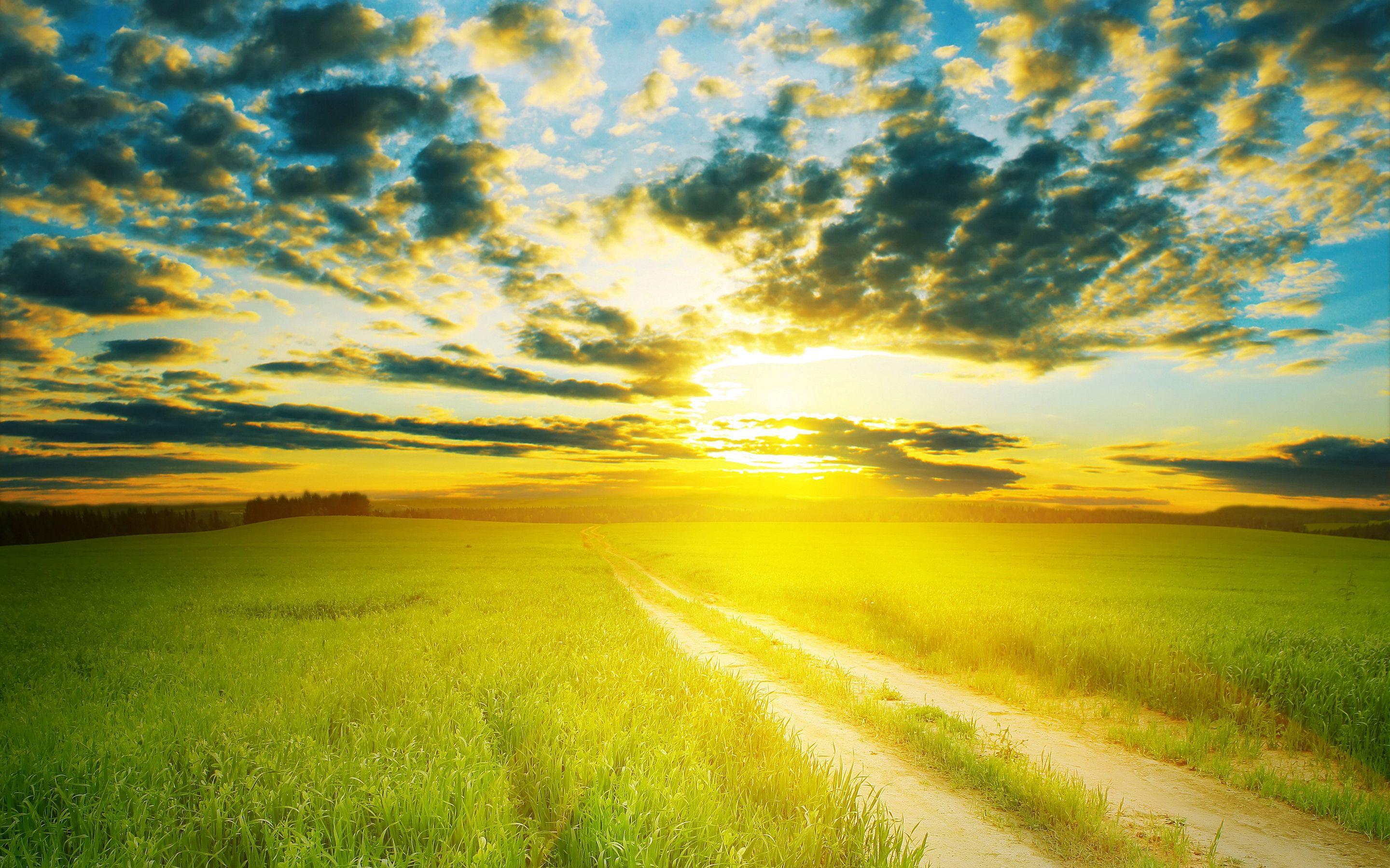 Summer Sunshine Wallpapers - Top Free Summer Sunshine Backgrounds ...